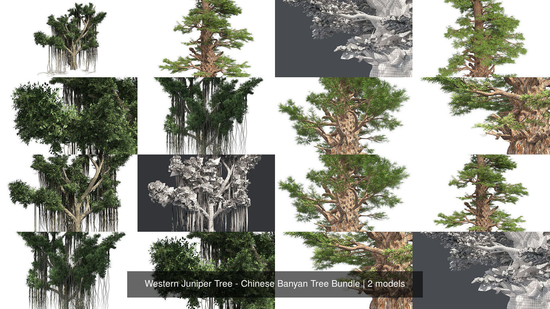 3D Model Collection Western Juniper Tree - Chinese Banyan Tree Bundle ...