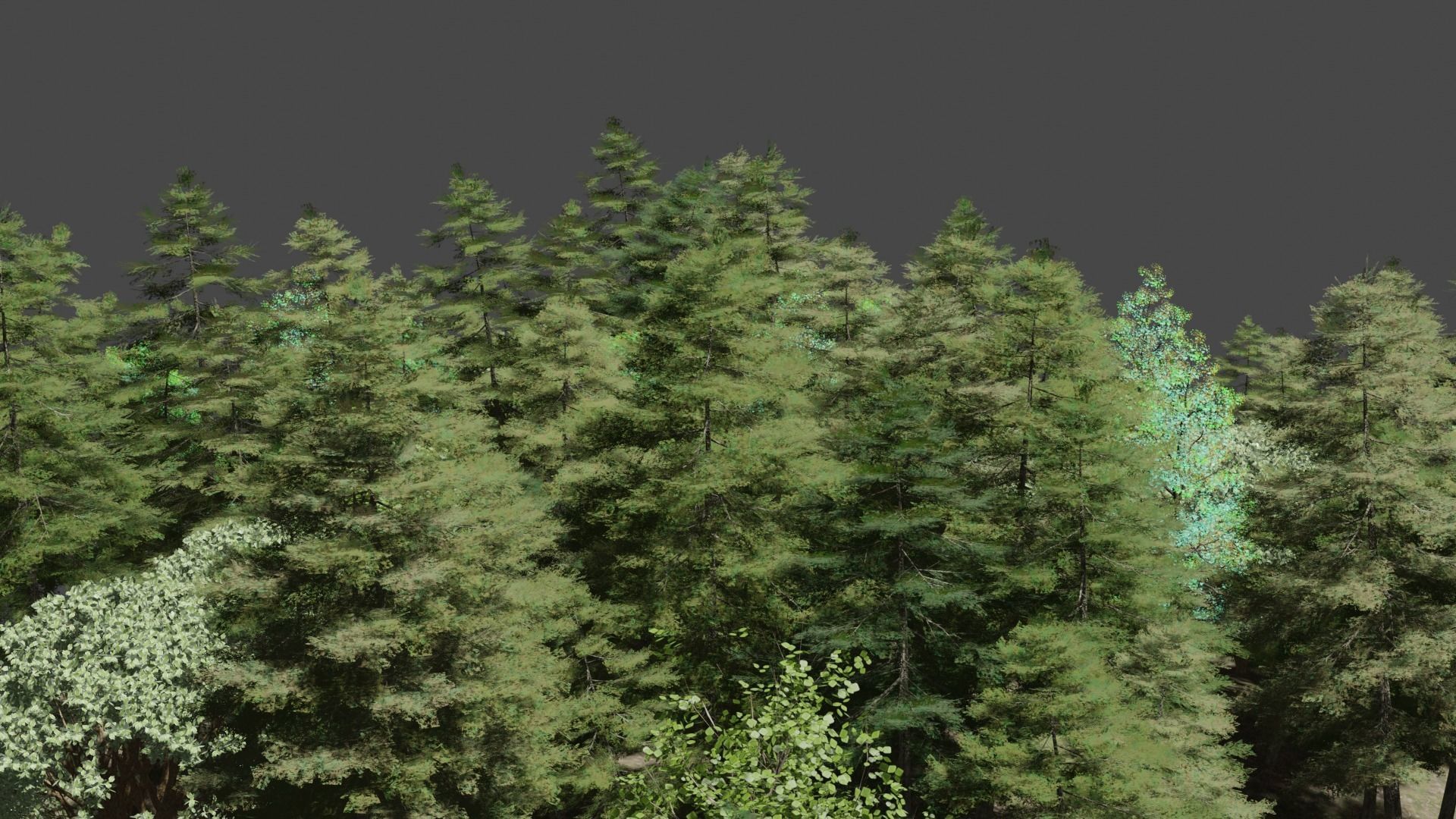 3D model 3D Forest Scene VR / AR / low-poly | CGTrader