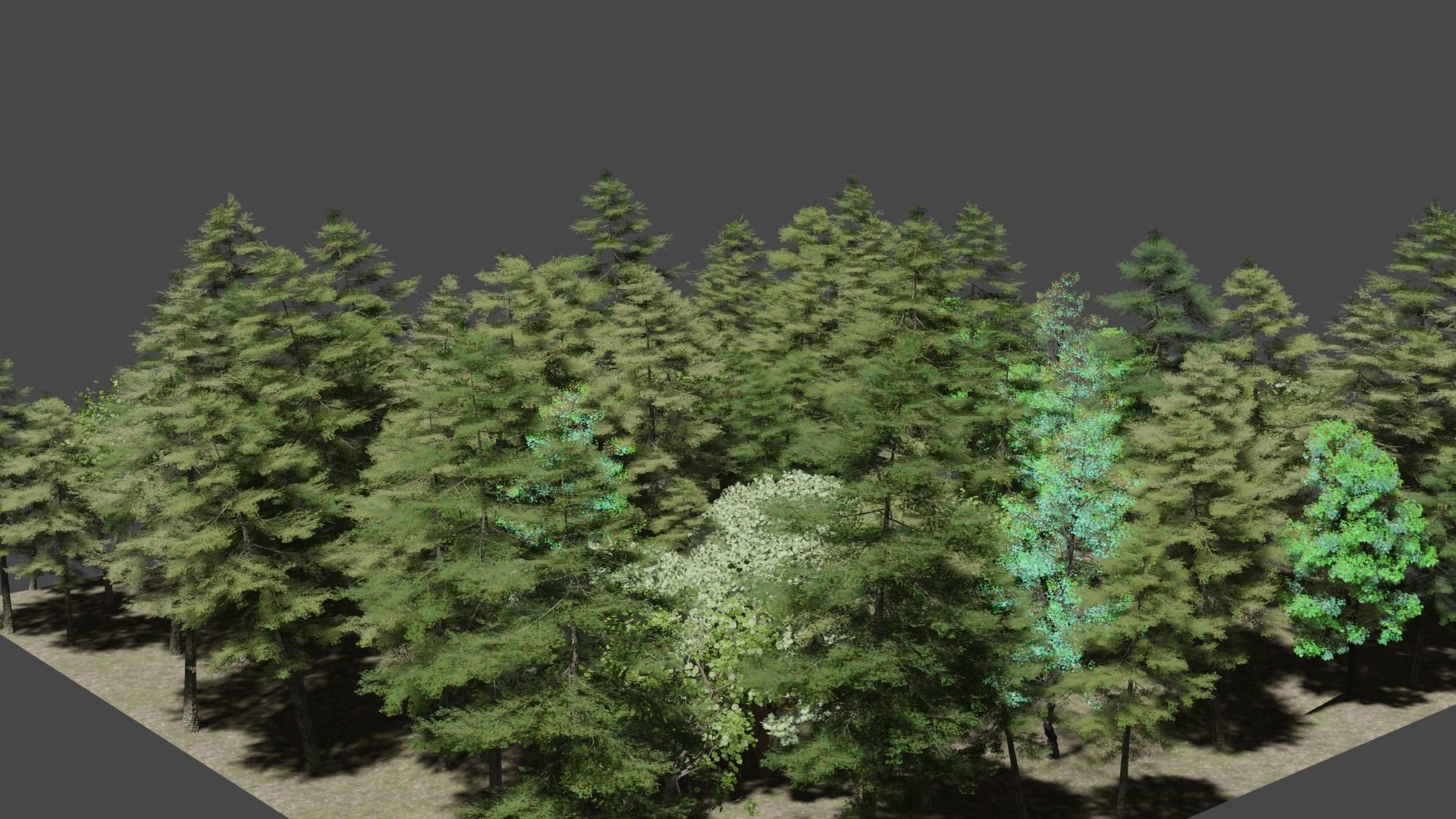 3D model 3D Forest Scene VR / AR / low-poly | CGTrader