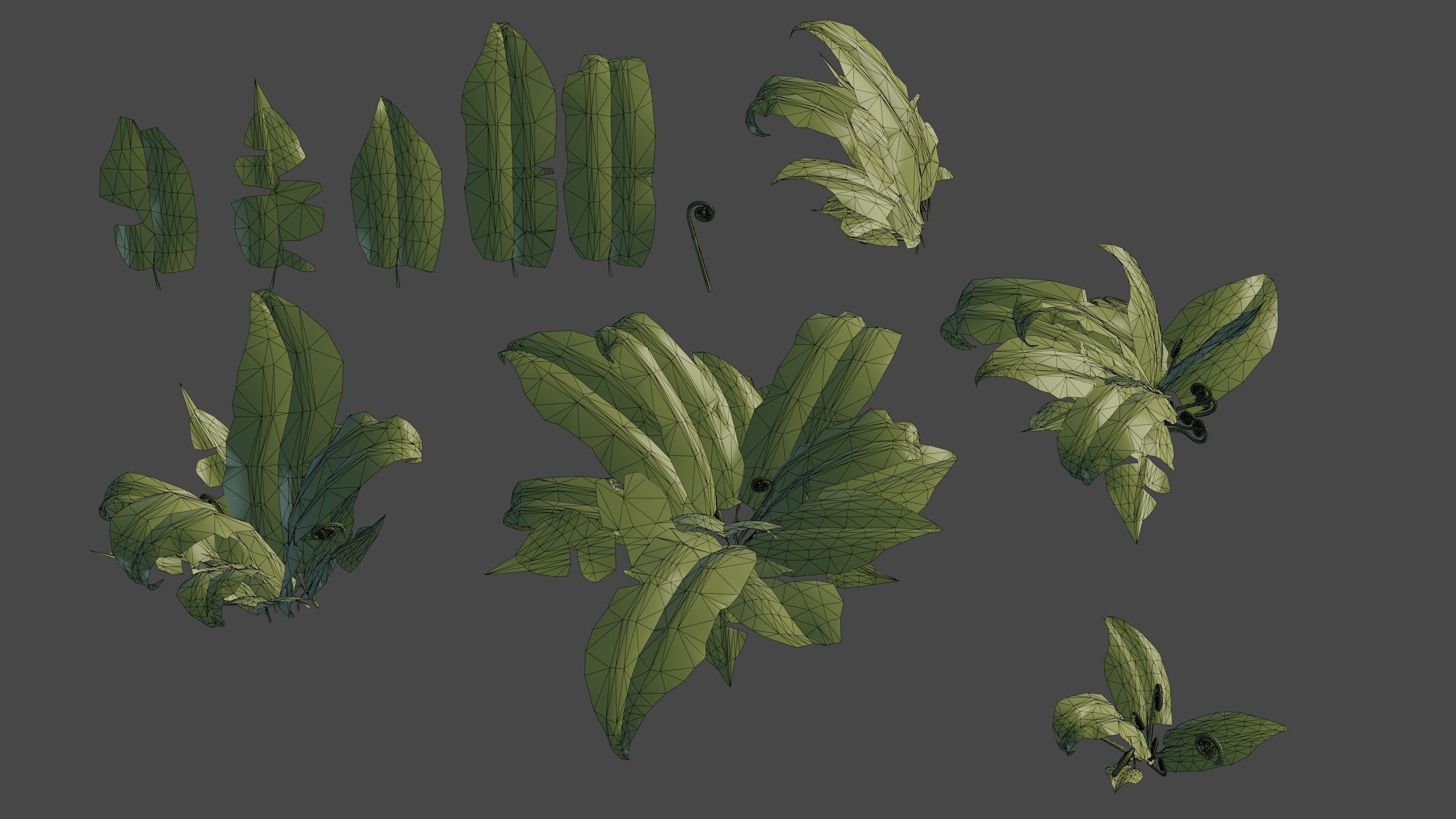 3D model Fern weed VR / AR / low-poly | CGTrader