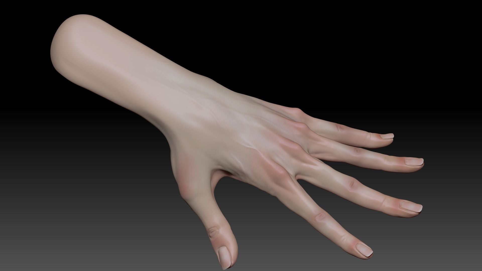 Female Pro Hand Sculpt Project 3D model | CGTrader