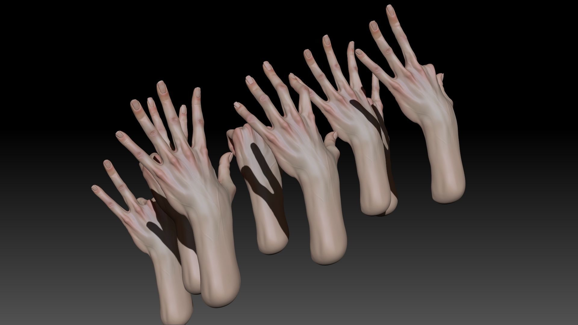 Female Pro Hand Gestures Sculpt Project 3D model | CGTrader