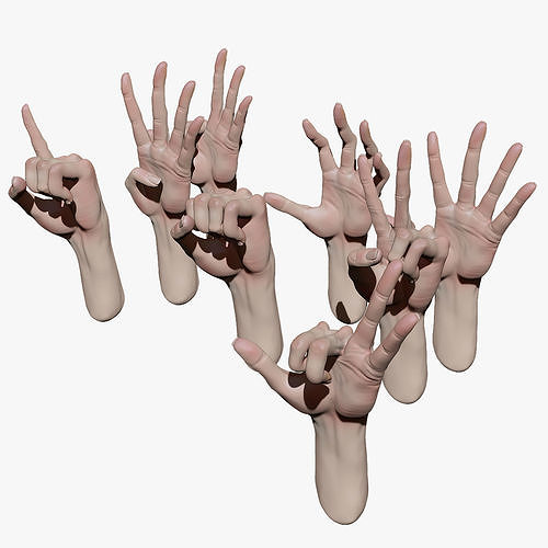 Female Pro Hand Gestures Sculpt Project 3D model | CGTrader