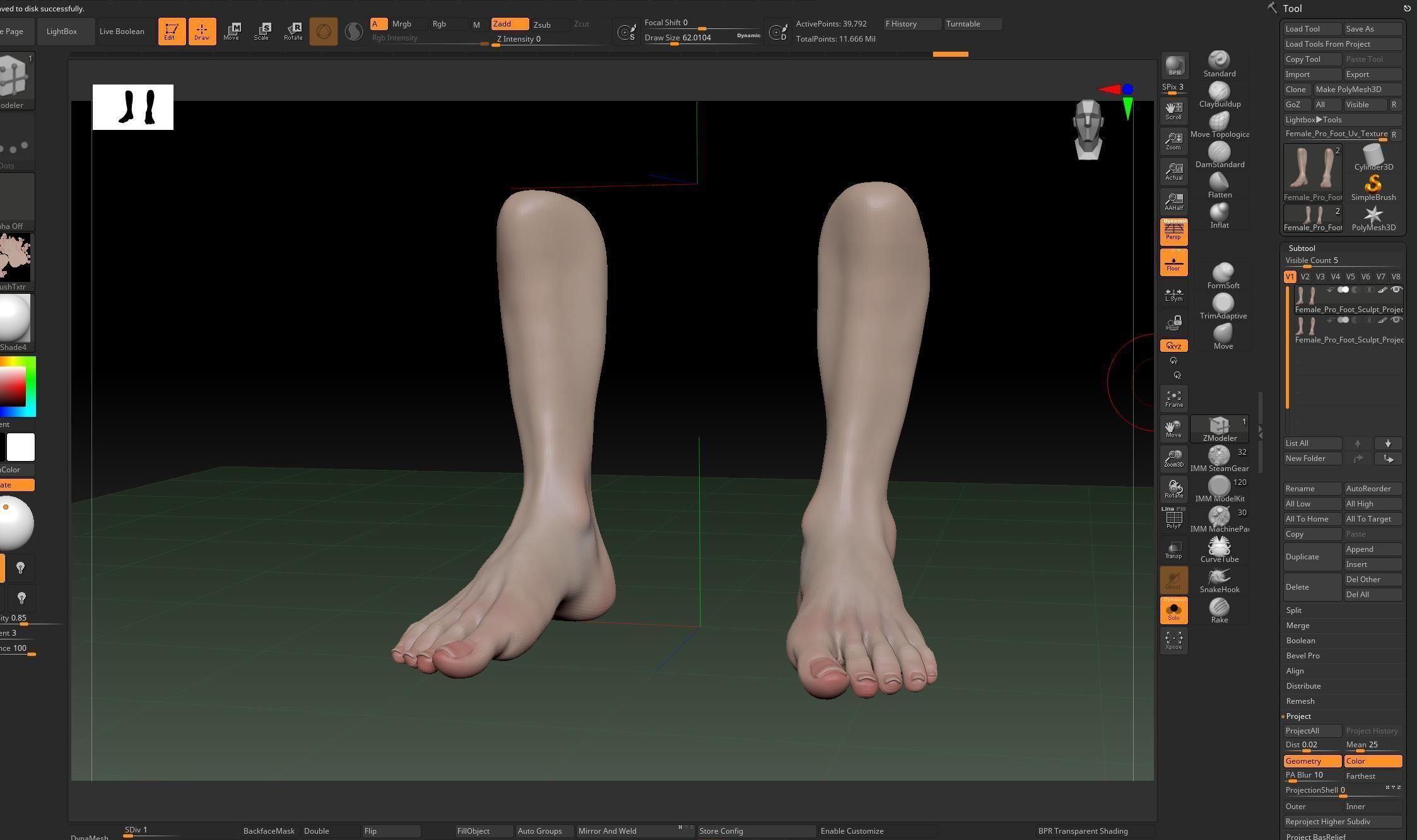 Female Pro Foot Sculpt Project 3D model | CGTrader