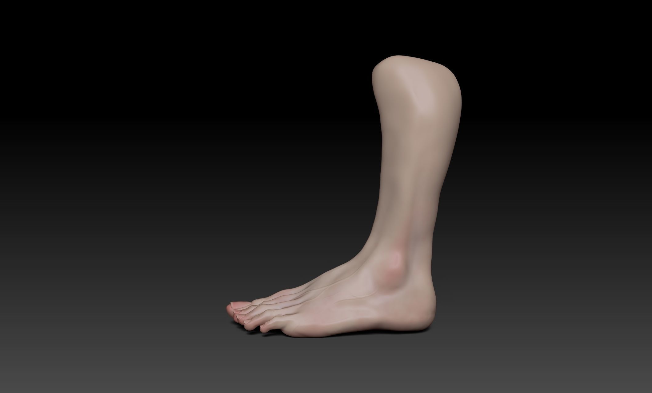 Female Pro Foot Sculpt Project 3D model | CGTrader