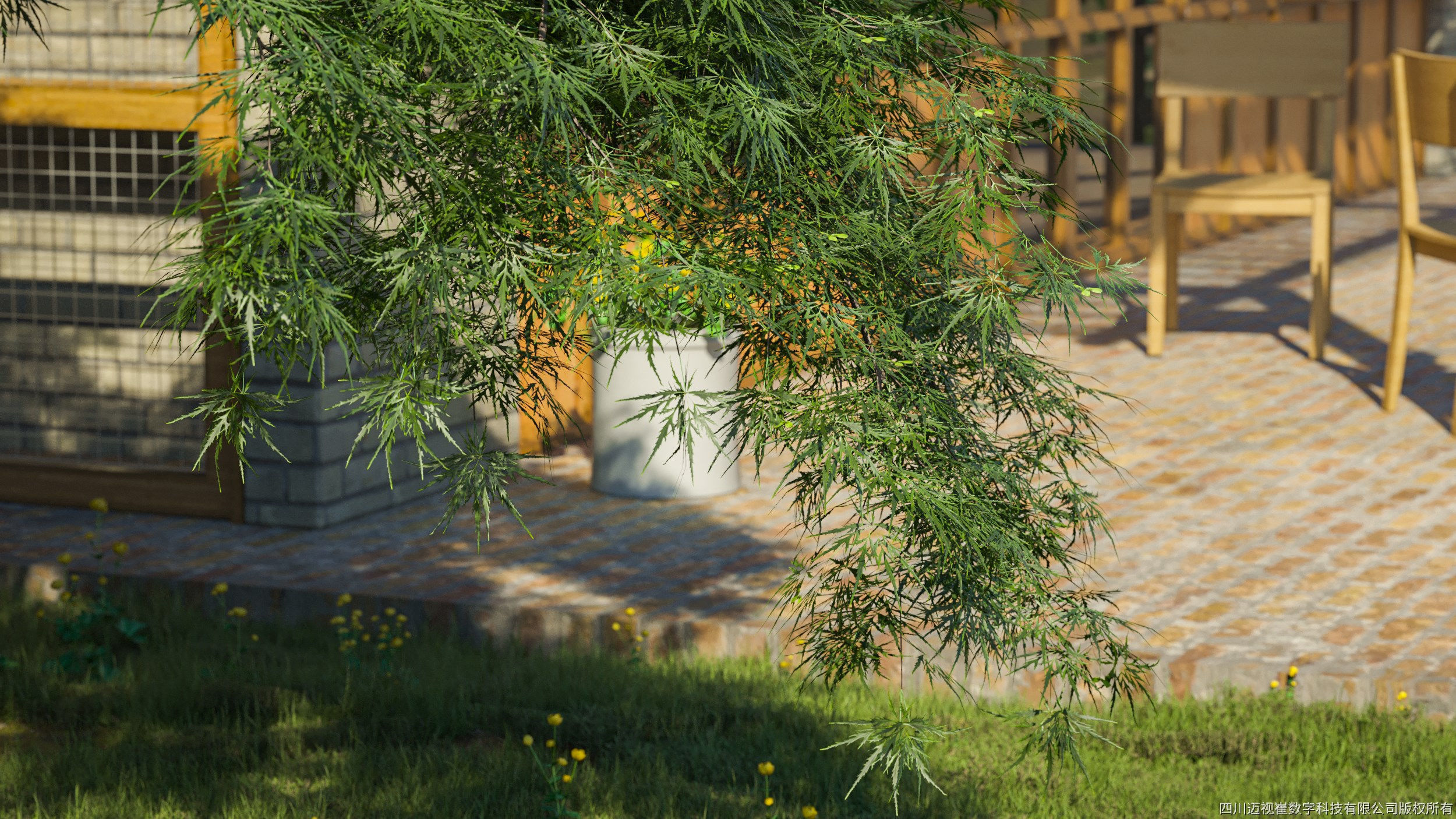 Maxtree Plant Models Vol 65 - Mesh 3D model | CGTrader