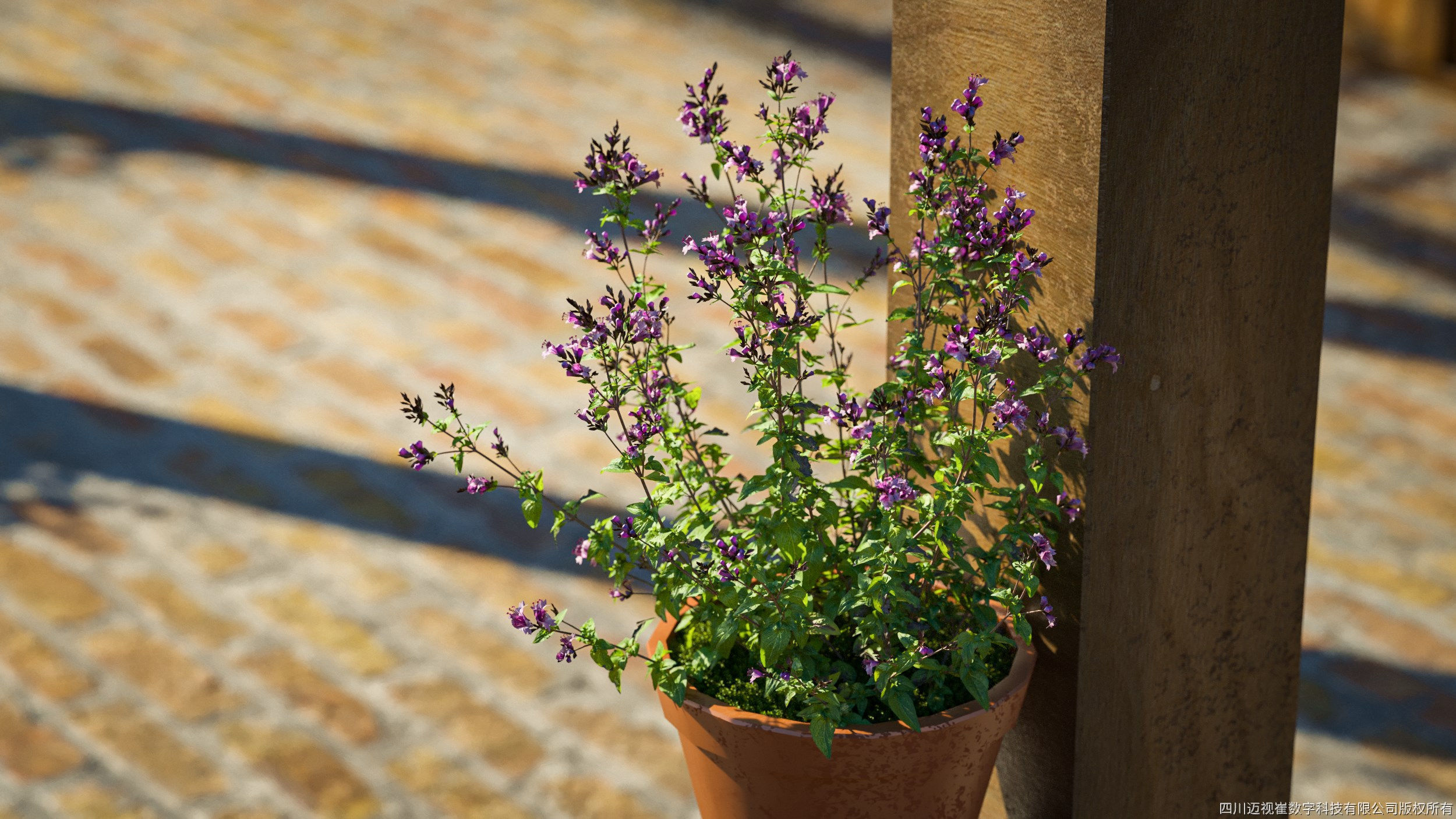 Maxtree Plant Models Vol 65 - Mesh 3D model | CGTrader