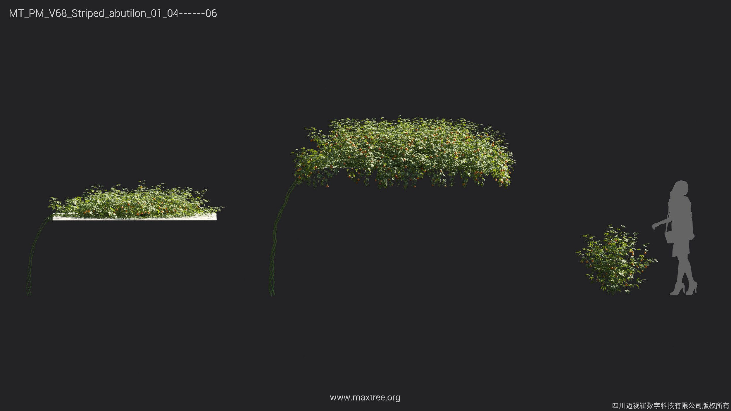 Maxtree Plant Models Vol 68 - Mesh 3D model | CGTrader
