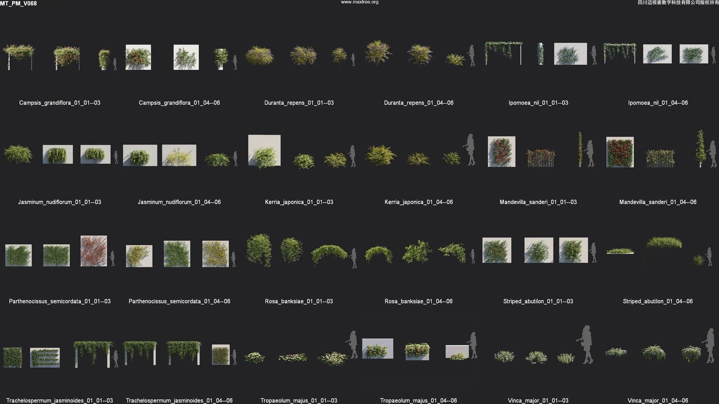Maxtree Plant Models Vol 68 - Mesh 3D model | CGTrader