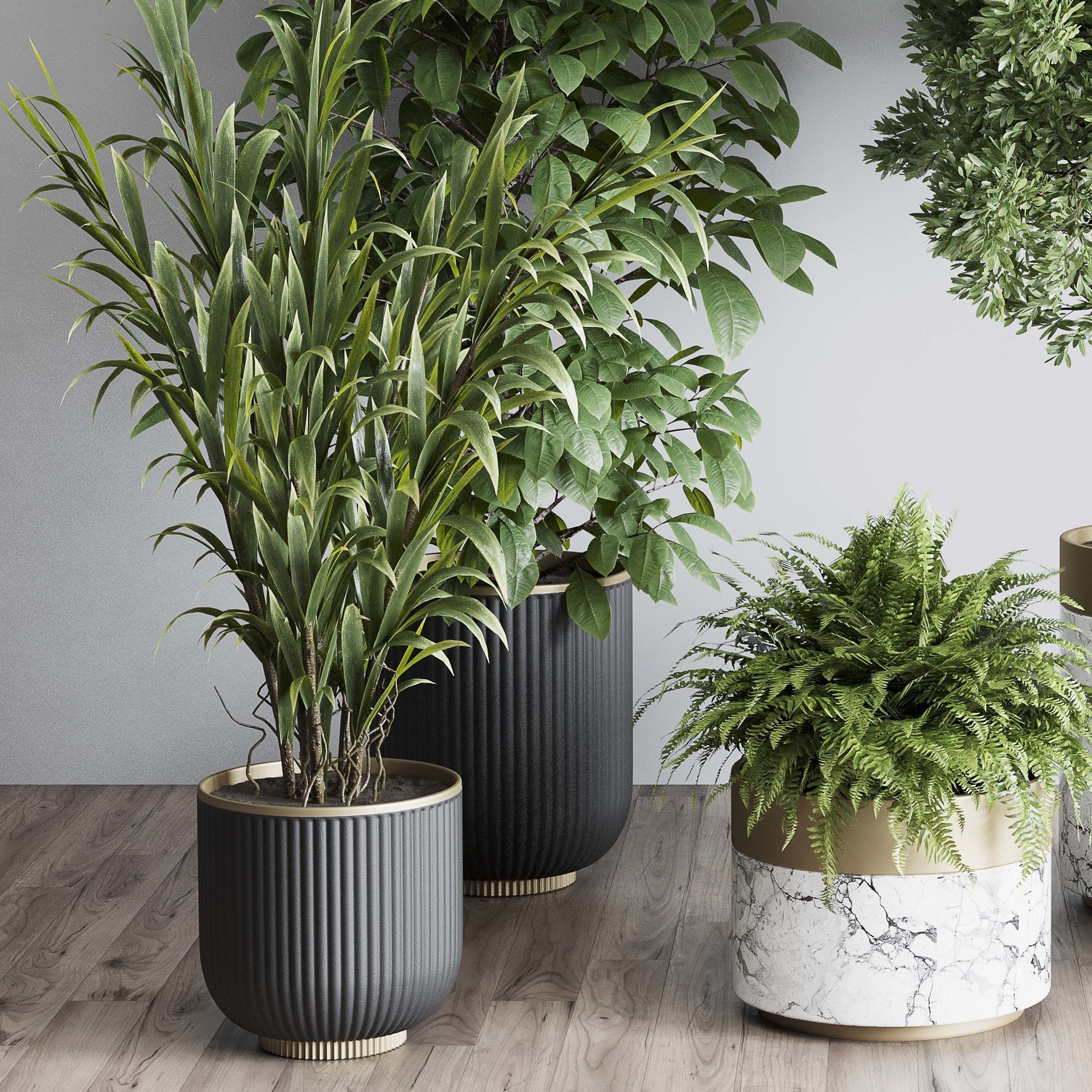 3D model Indoor plant set 363 stone vase plant tree shrub VR / AR / low ...