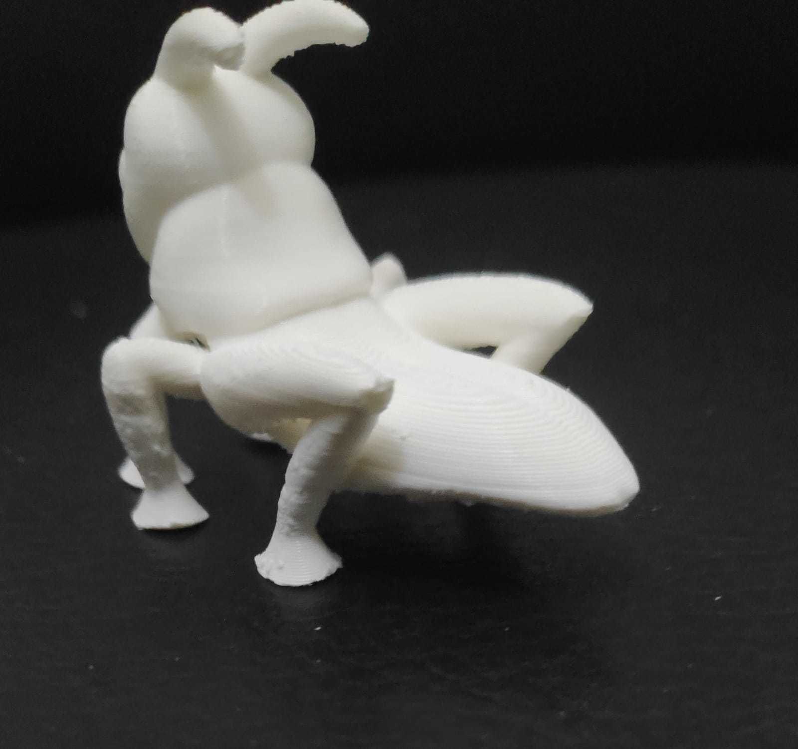 Little Cricket 3D model 3D printable | CGTrader