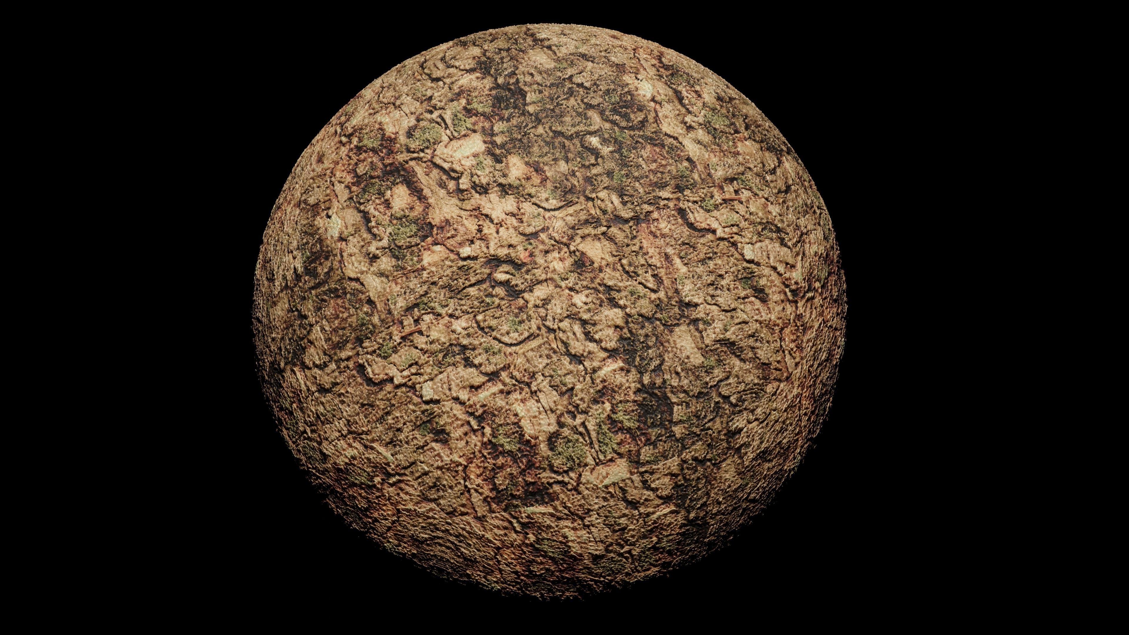 Tree Bark PBR Texture Texture | CGTrader
