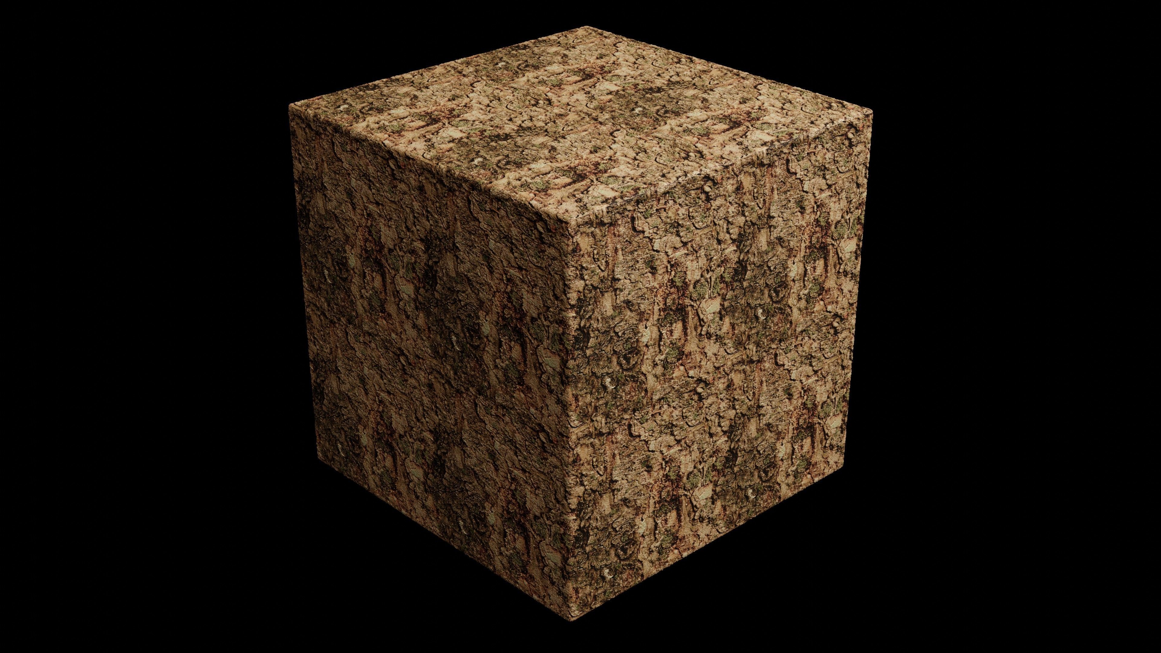 Tree Bark PBR Texture Texture | CGTrader