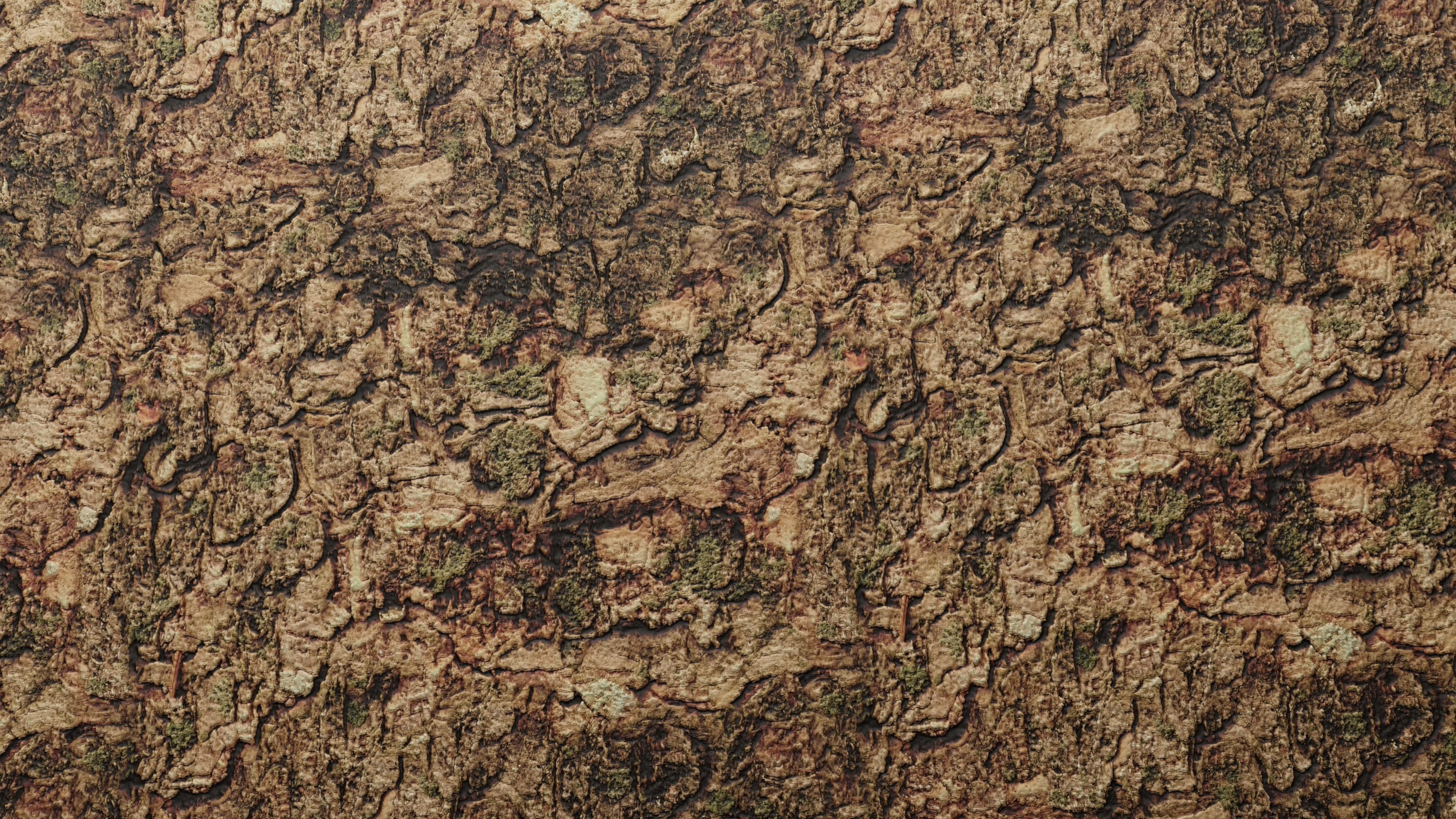 Tree Bark PBR Texture Texture | CGTrader
