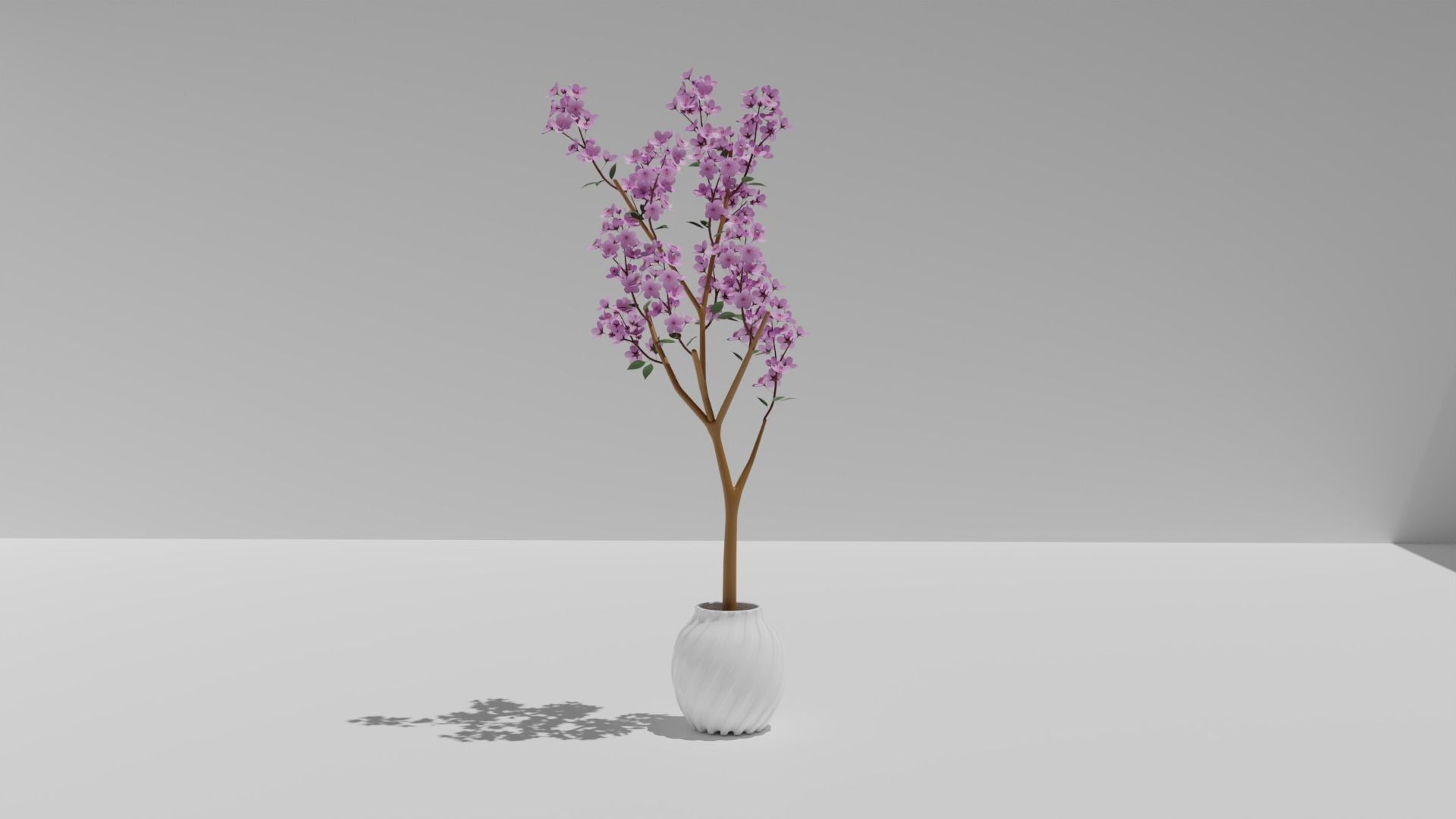 3D Cherry Blossom Tree 3D model | CGTrader