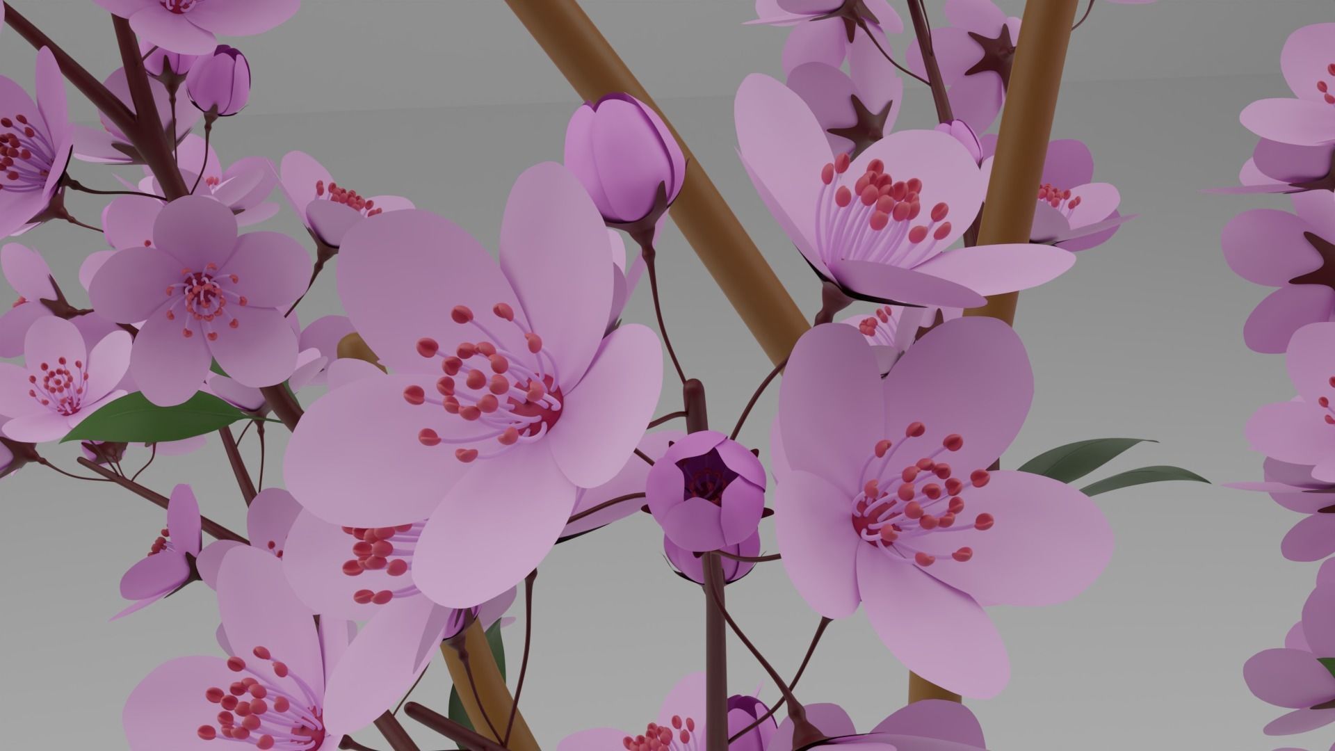 3D Cherry Blossom Tree 3D model | CGTrader