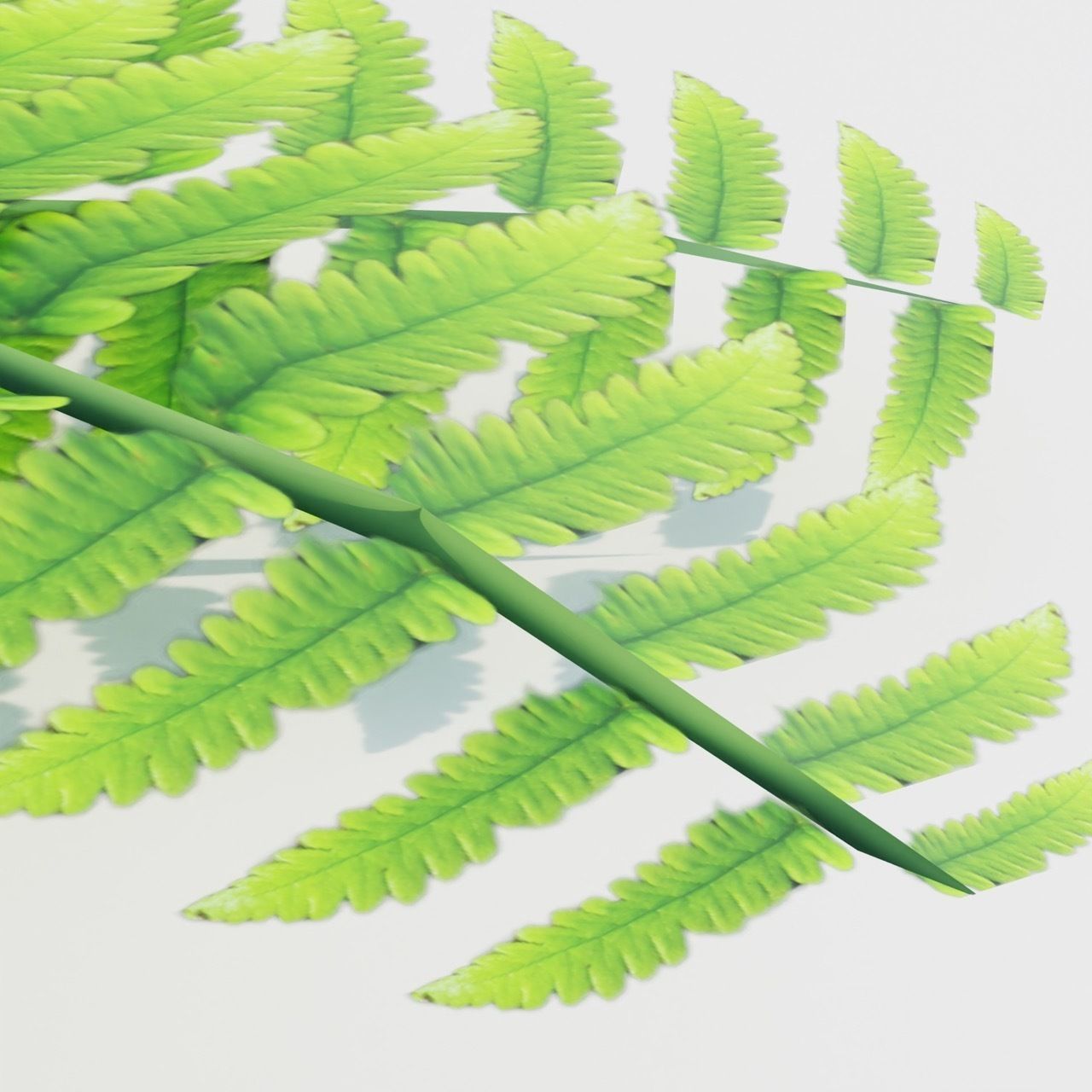 3D model Grass Fern Game Ready Low Poly VR / AR / low-poly | CGTrader