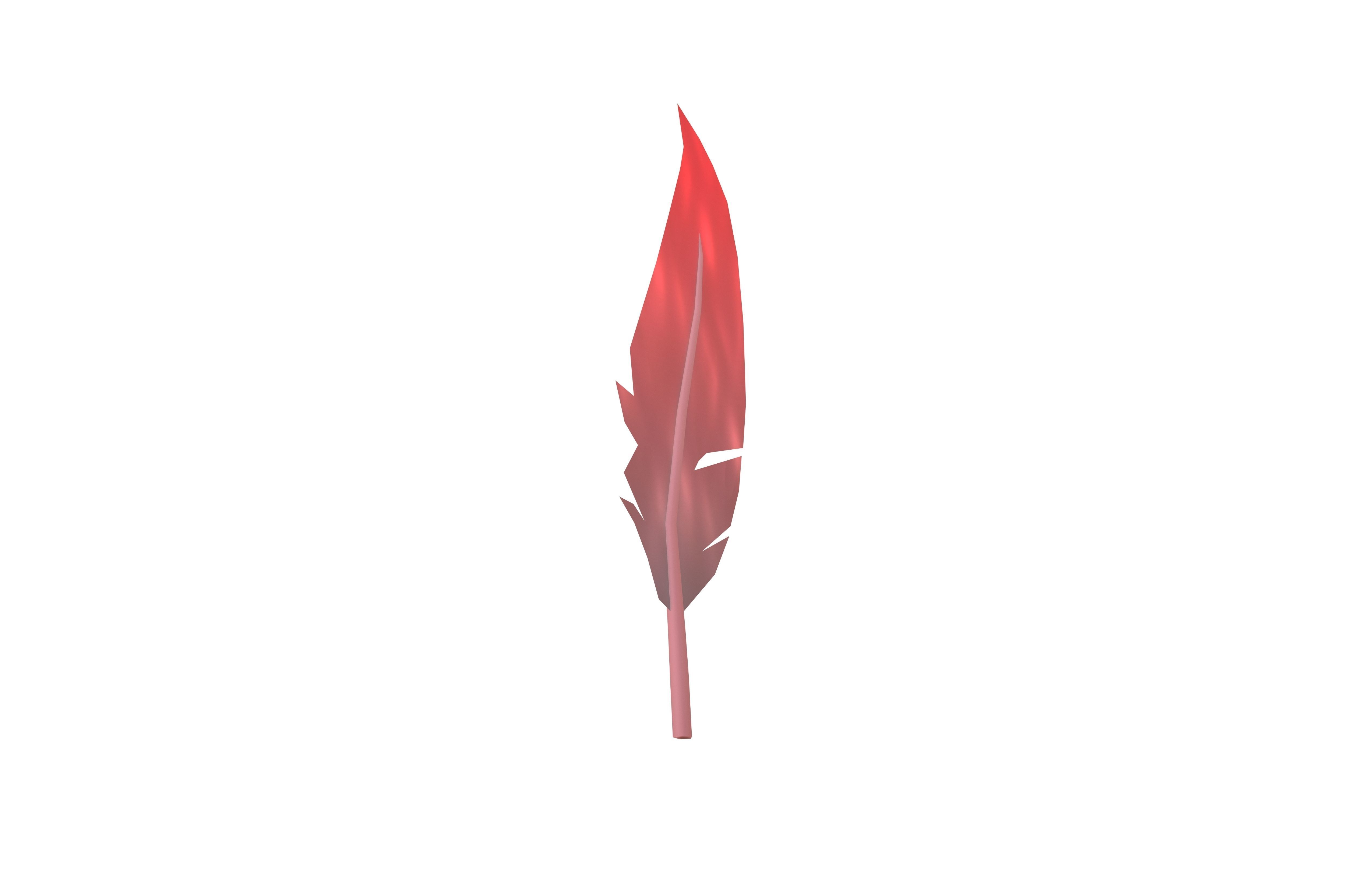 3D model Feathers v1 003 VR / AR / low-poly | CGTrader