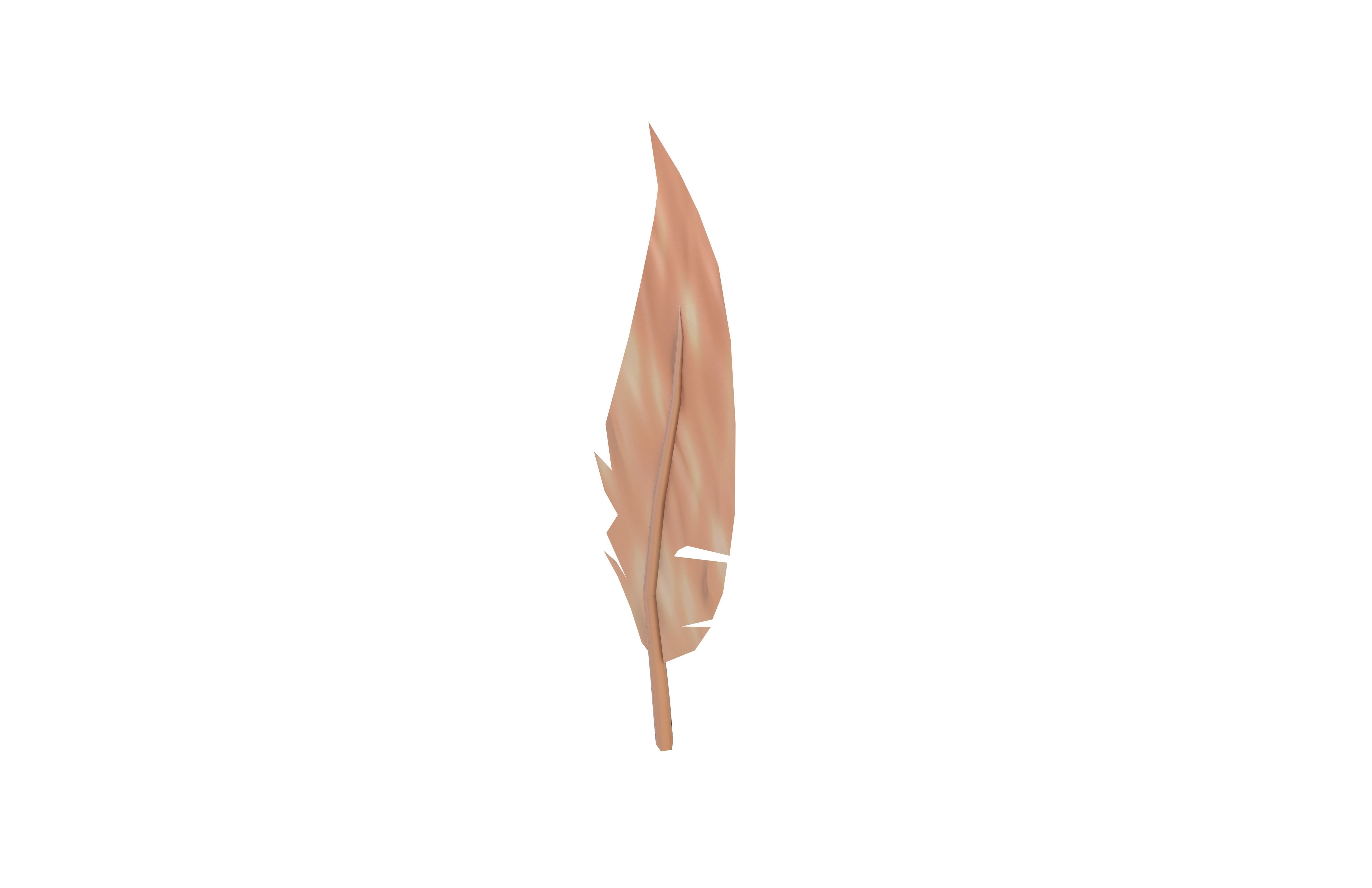 3D model Feathers v1 012 VR / AR / low-poly | CGTrader