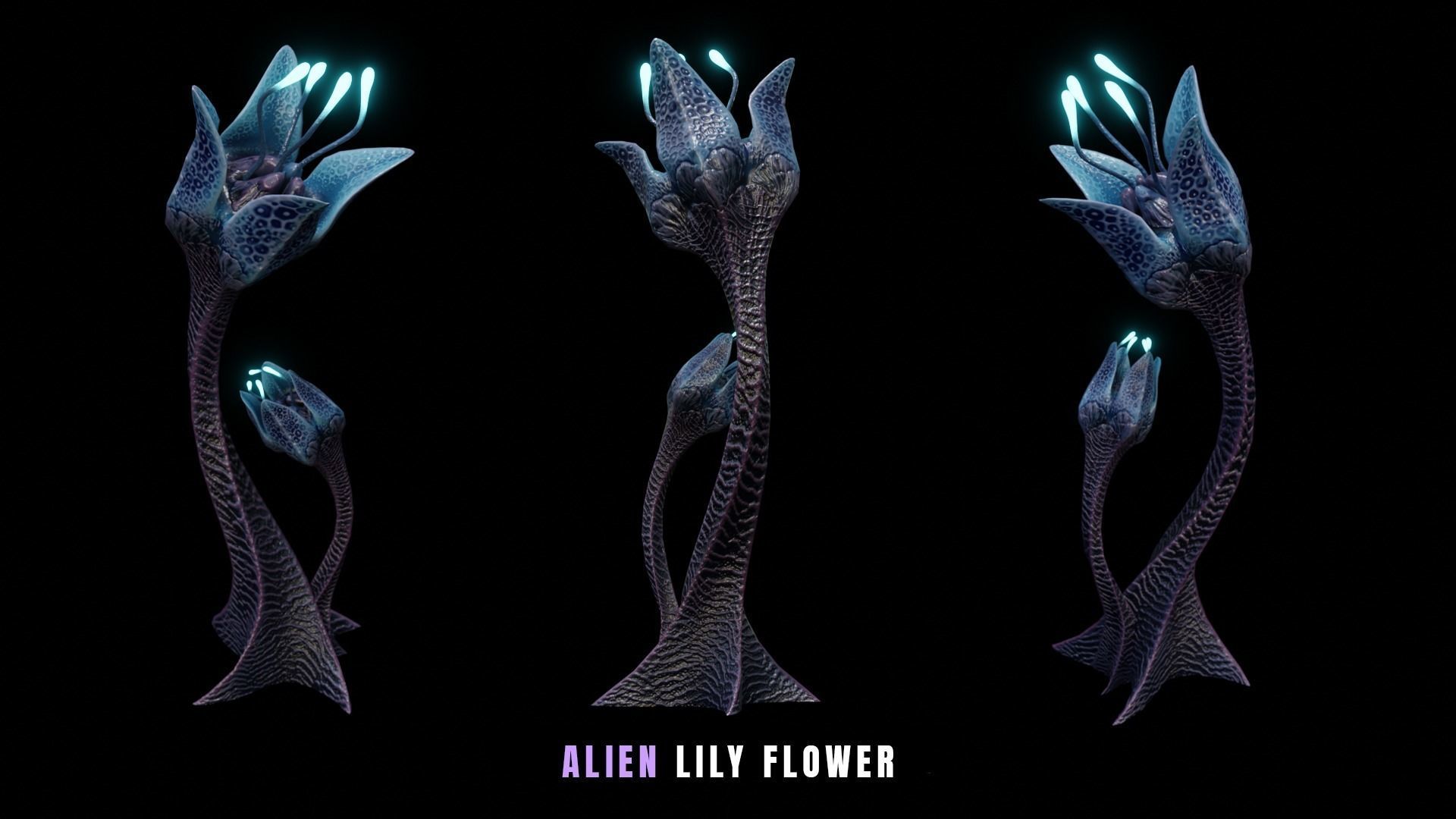 3D model Alien Lily Flower VR / AR / low-poly | CGTrader