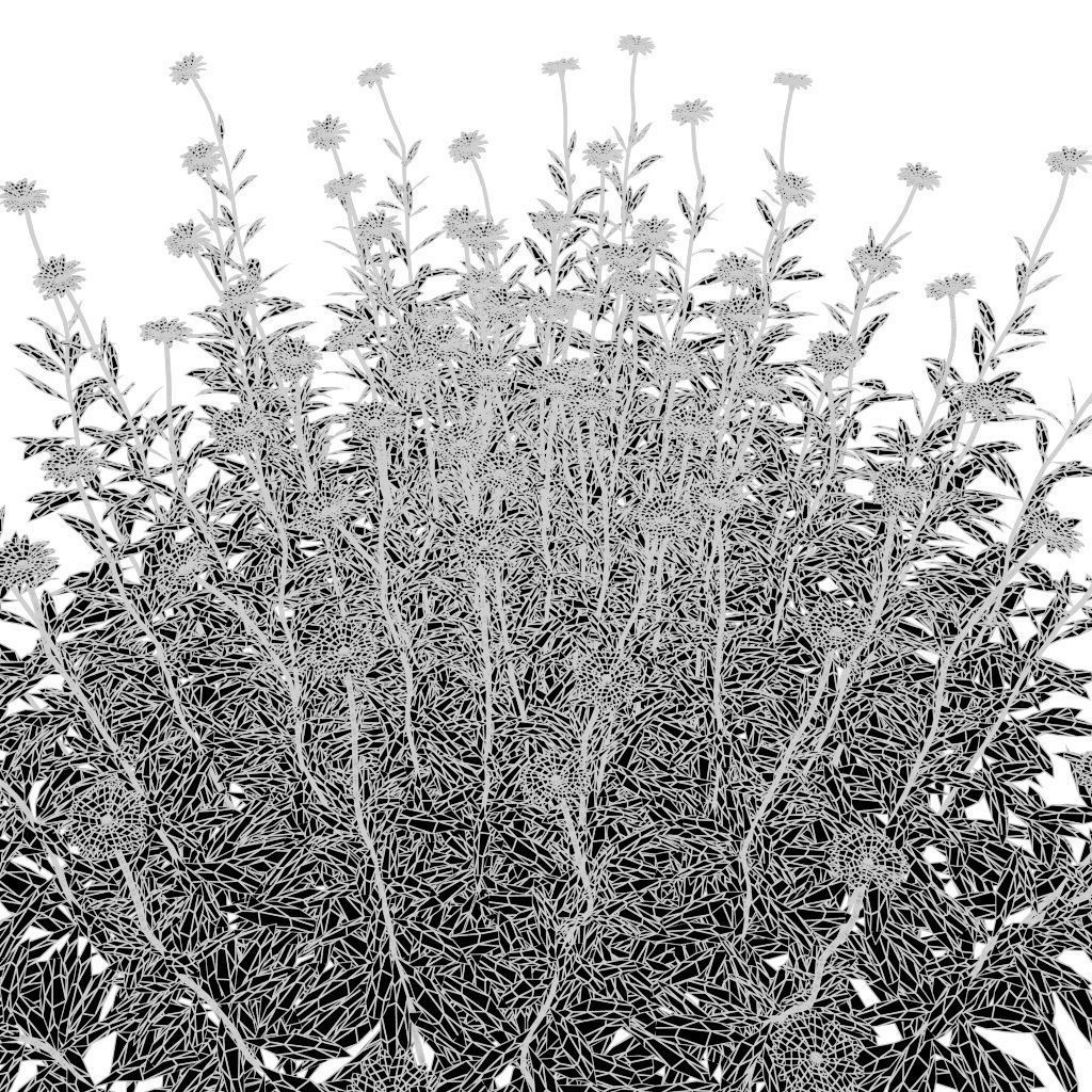 3D model daisy Flower VR / AR / low-poly | CGTrader