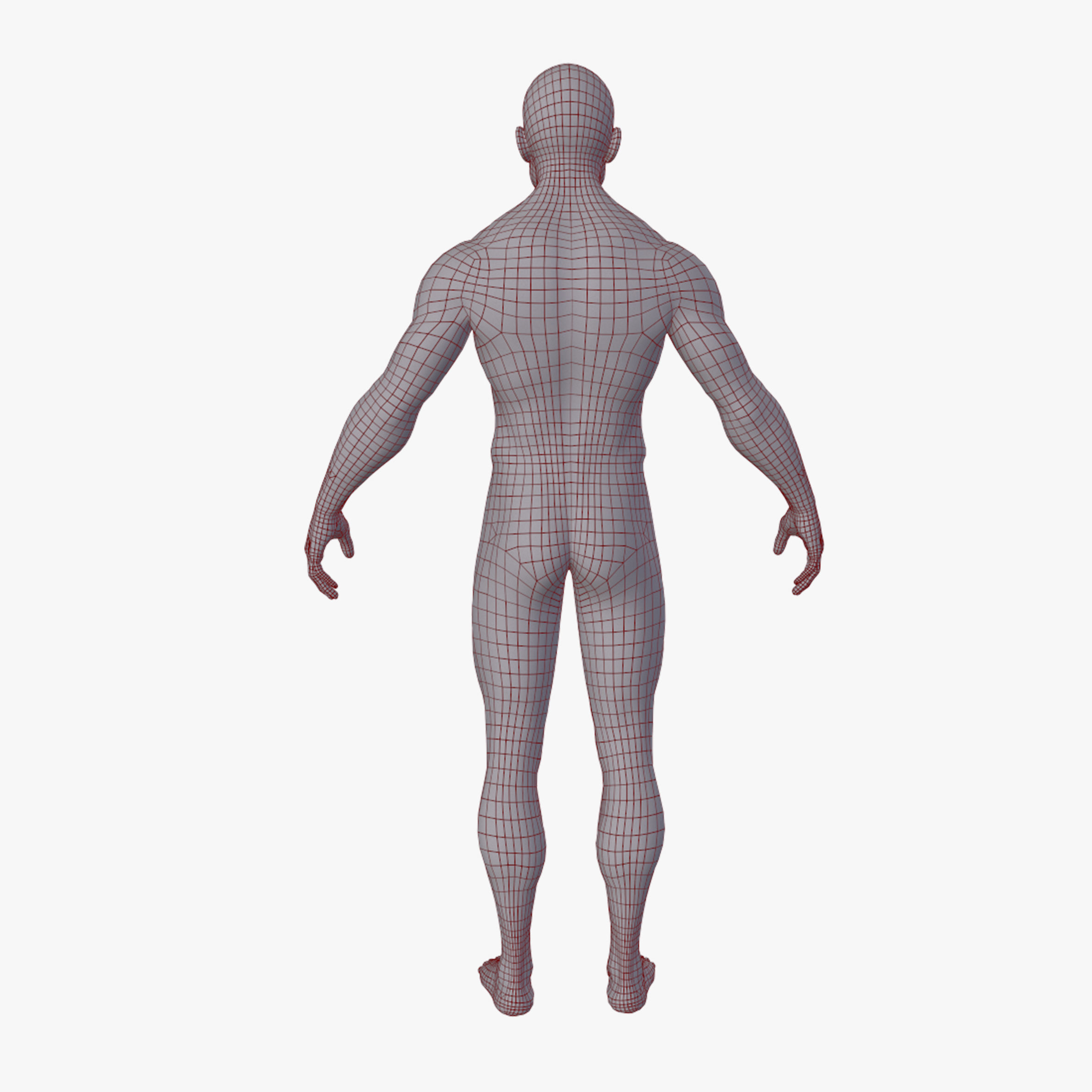 Body Human 3D model | CGTrader