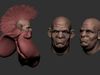 Dwarf Head basemesh 3D model | CGTrader