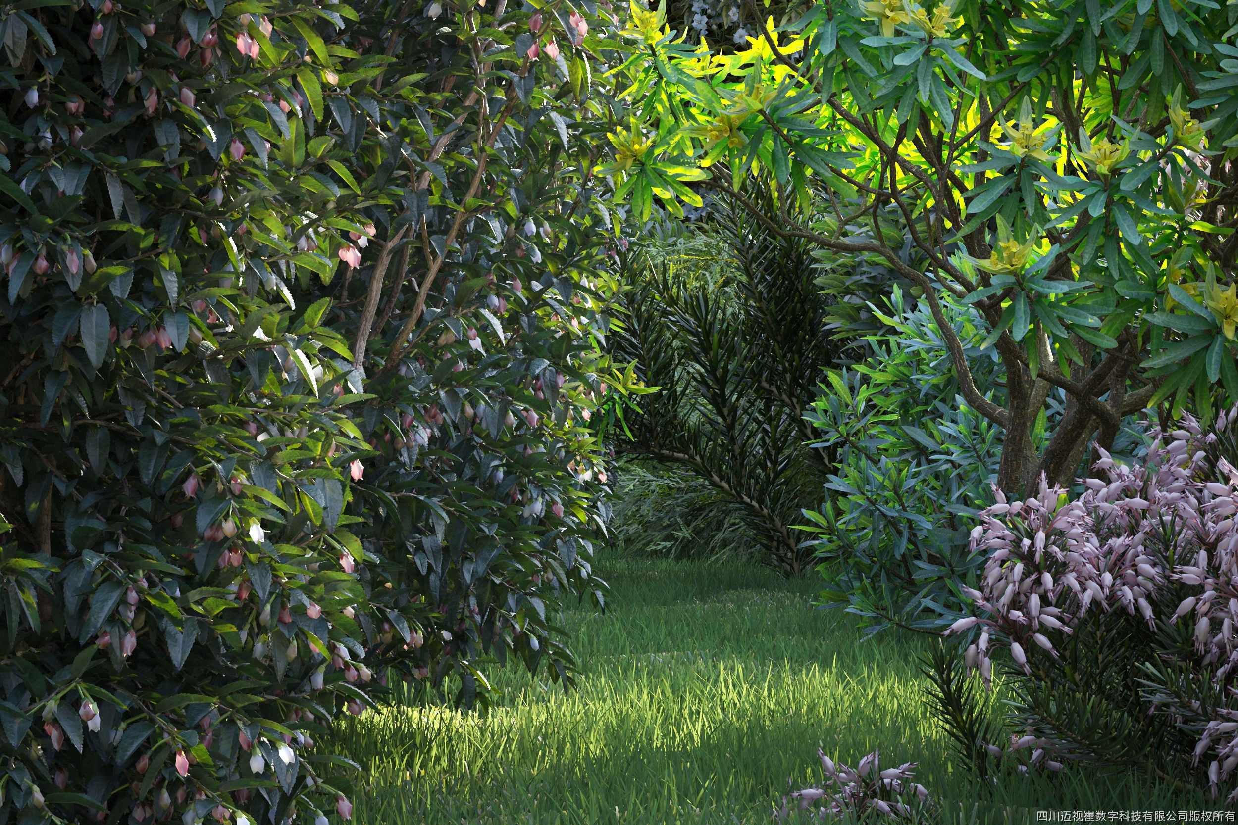 Maxtree Plant Models Vol 77 - Mesh 3D model | CGTrader