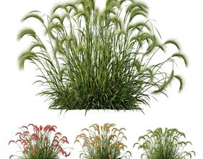 Barley 3D Models | CGTrader