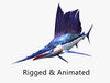 3D model animated sailfish billfish VR / AR / low-poly | CGTrader