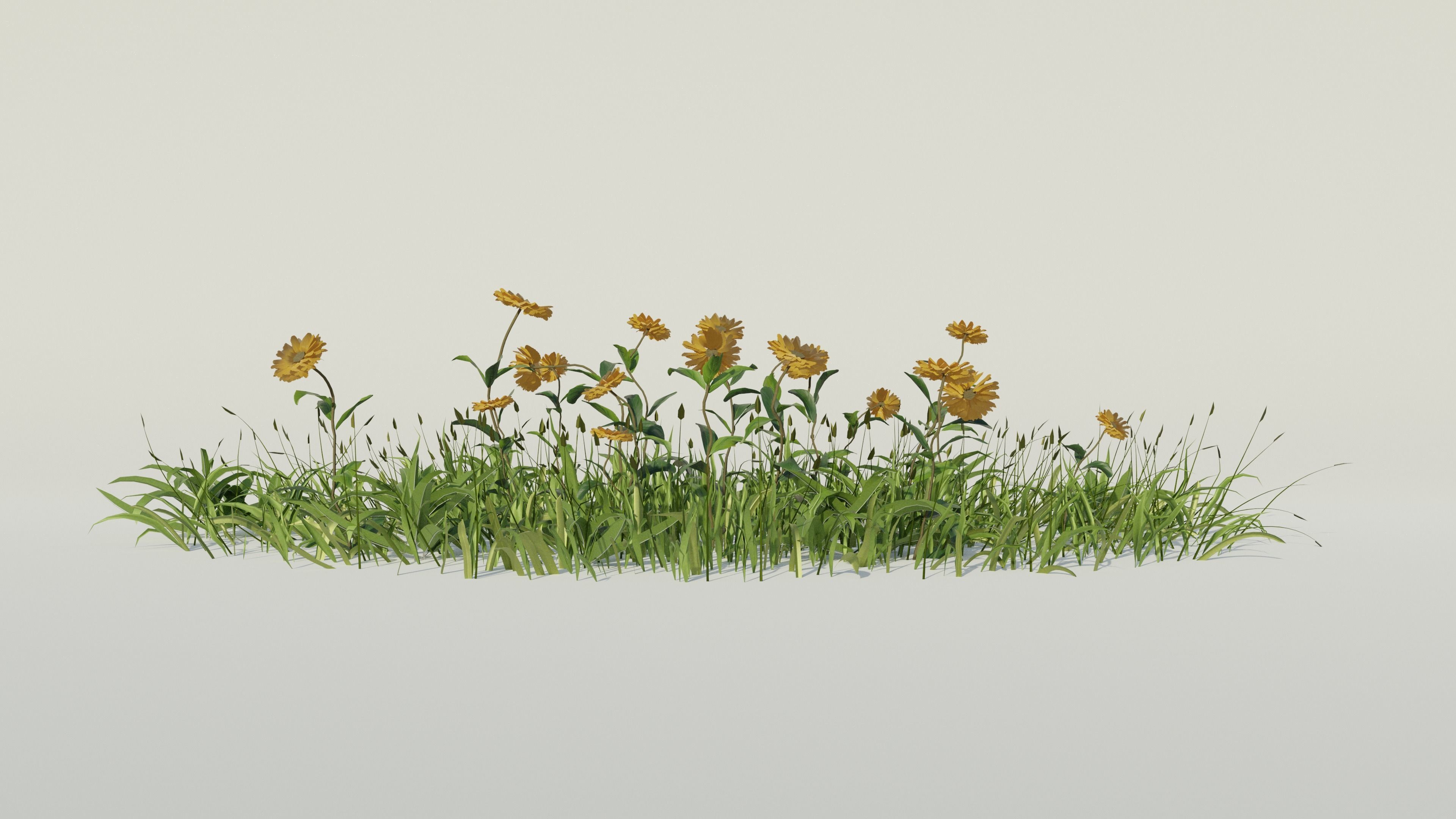 3D model grass plant VR / AR / low-poly | CGTrader