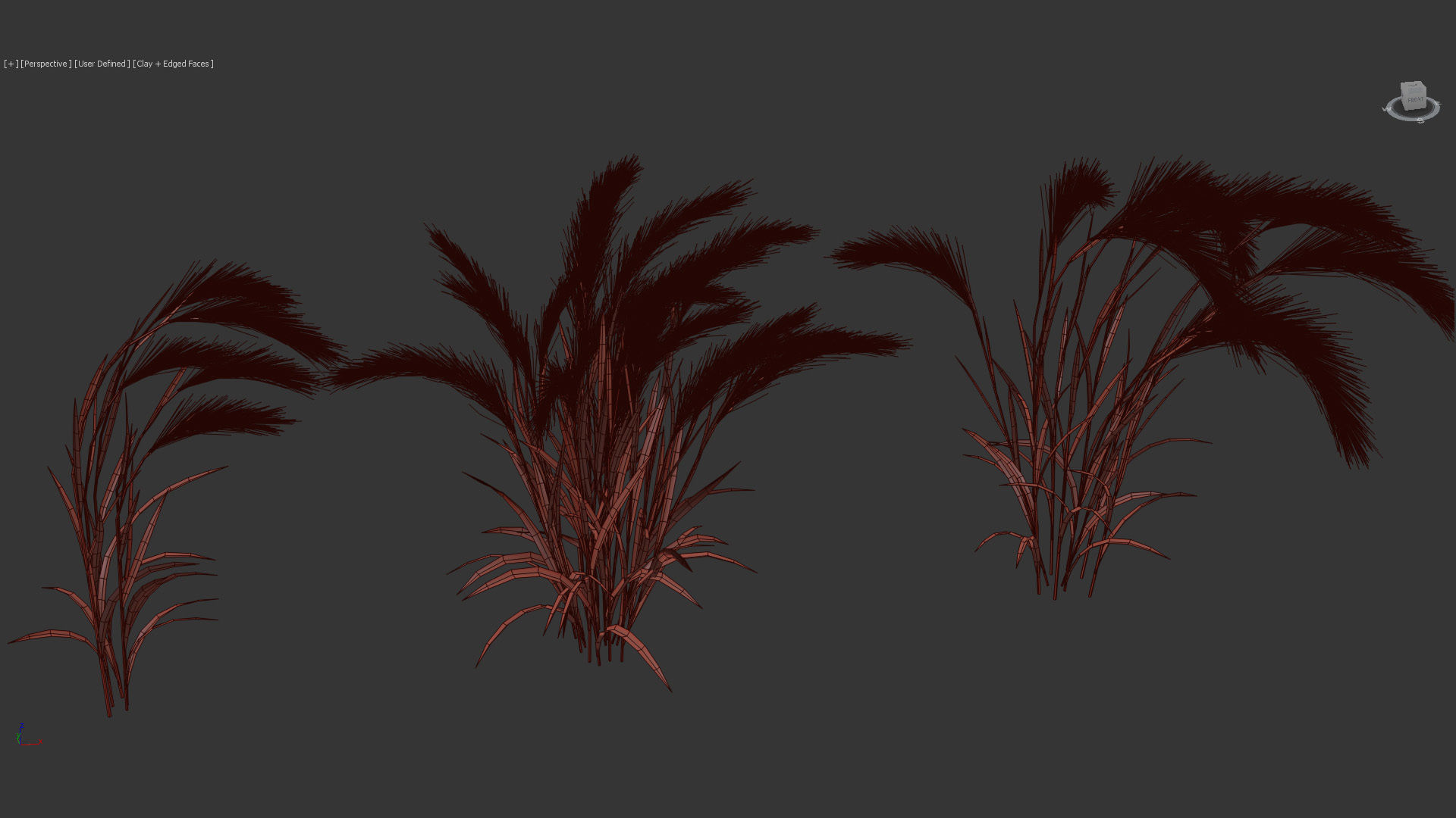 Hordeum jubatum Foxtail barley 3D Model 01 3D model | CGTrader