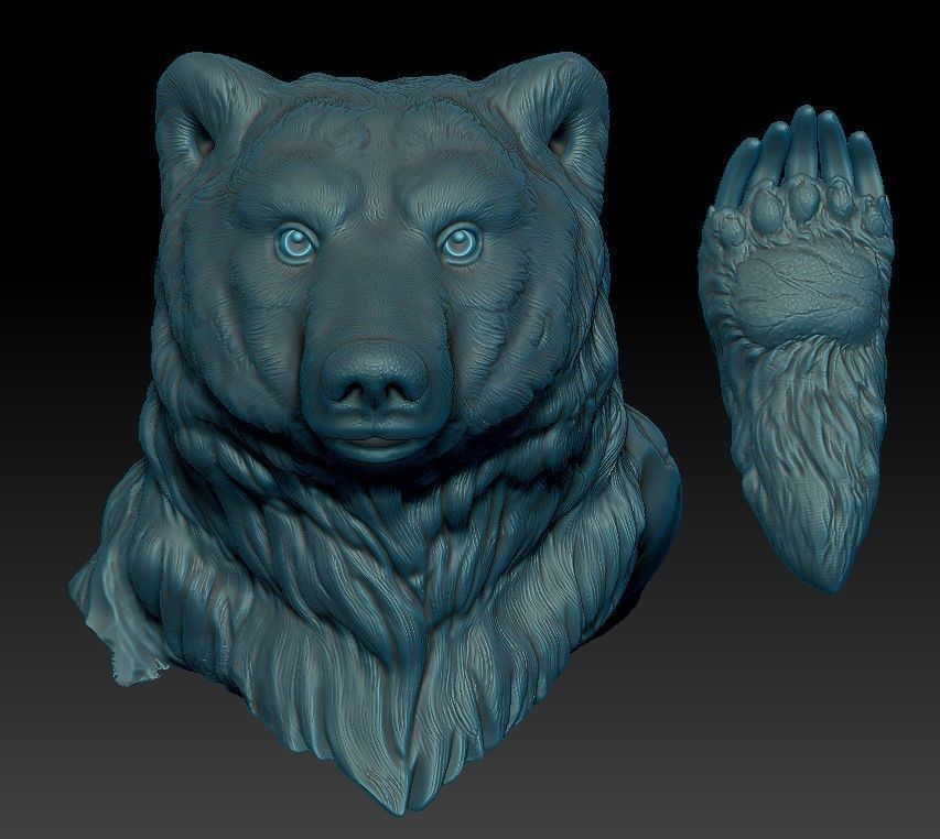 bear head and a paw 3D model 3D printable | CGTrader