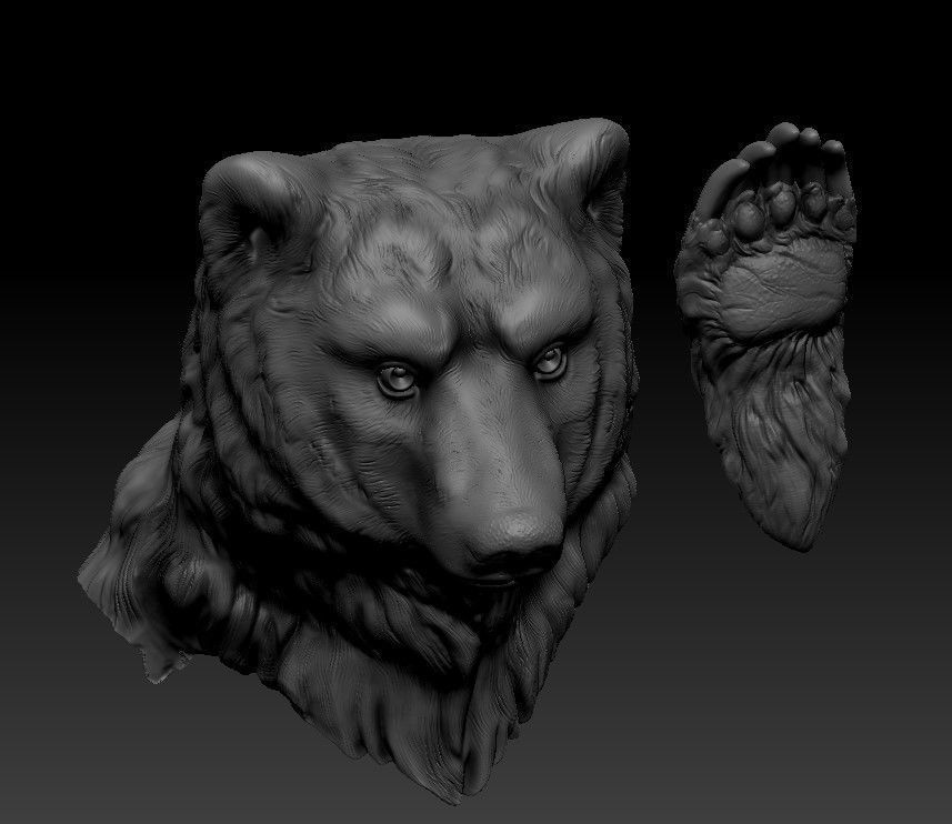 bear head and a paw 3D model 3D printable | CGTrader