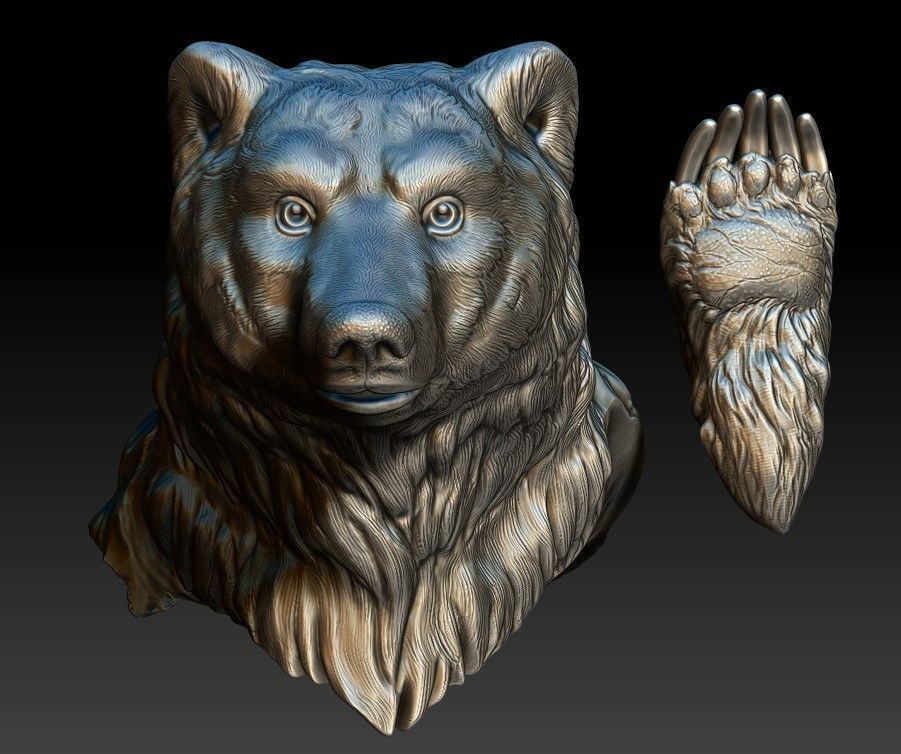 bear head and a paw 3D model 3D printable | CGTrader