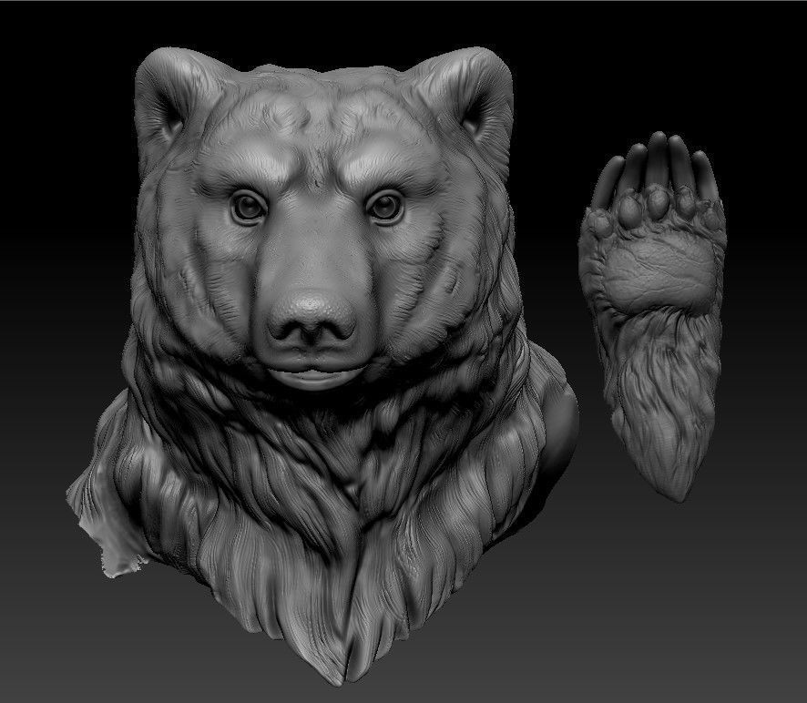 bear head and a paw 3D model 3D printable | CGTrader