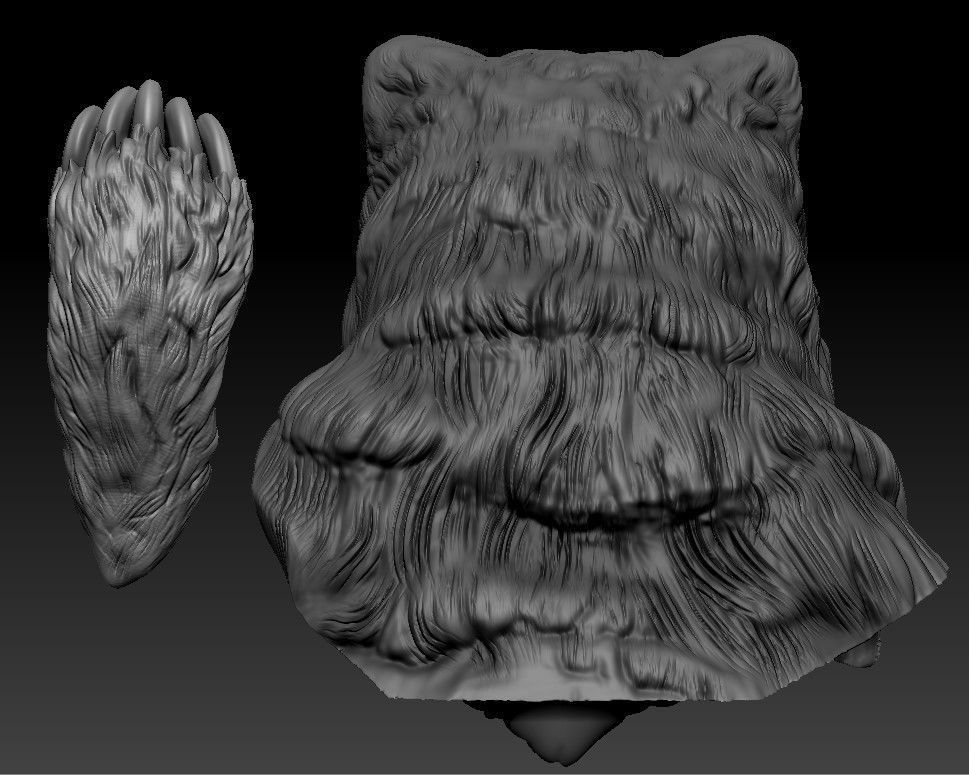 bear head and a paw 3D model 3D printable | CGTrader