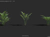 Maxtree Plant Models Vol 78 - Mesh 3D model | CGTrader