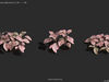 Maxtree Plant Models Vol 78 - Mesh 3D model | CGTrader