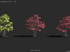 Maxtree Plant Models Vol 78 - Mesh 3D model | CGTrader