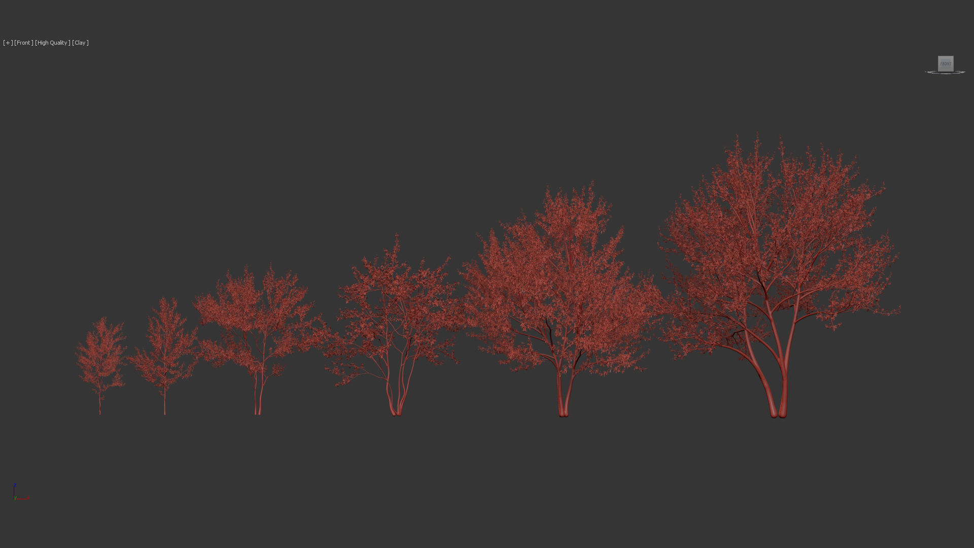 Amelanchier lamarckii Juneberry 3D model | CGTrader