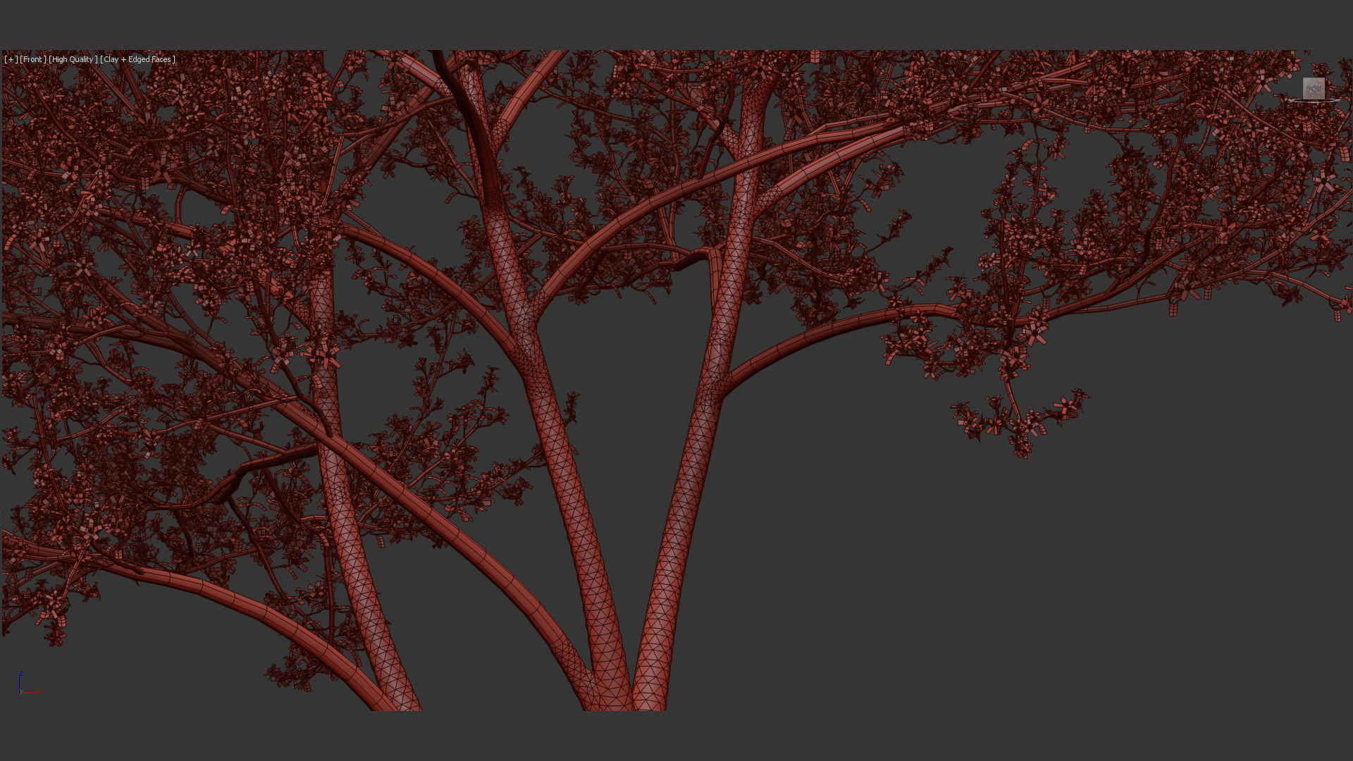 Amelanchier lamarckii Juneberry 3D model | CGTrader
