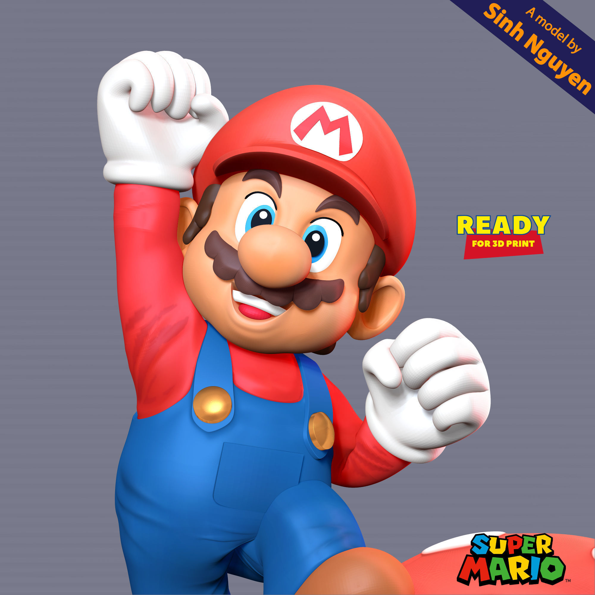 The Super Mario Bros 3D model 3D printable | CGTrader