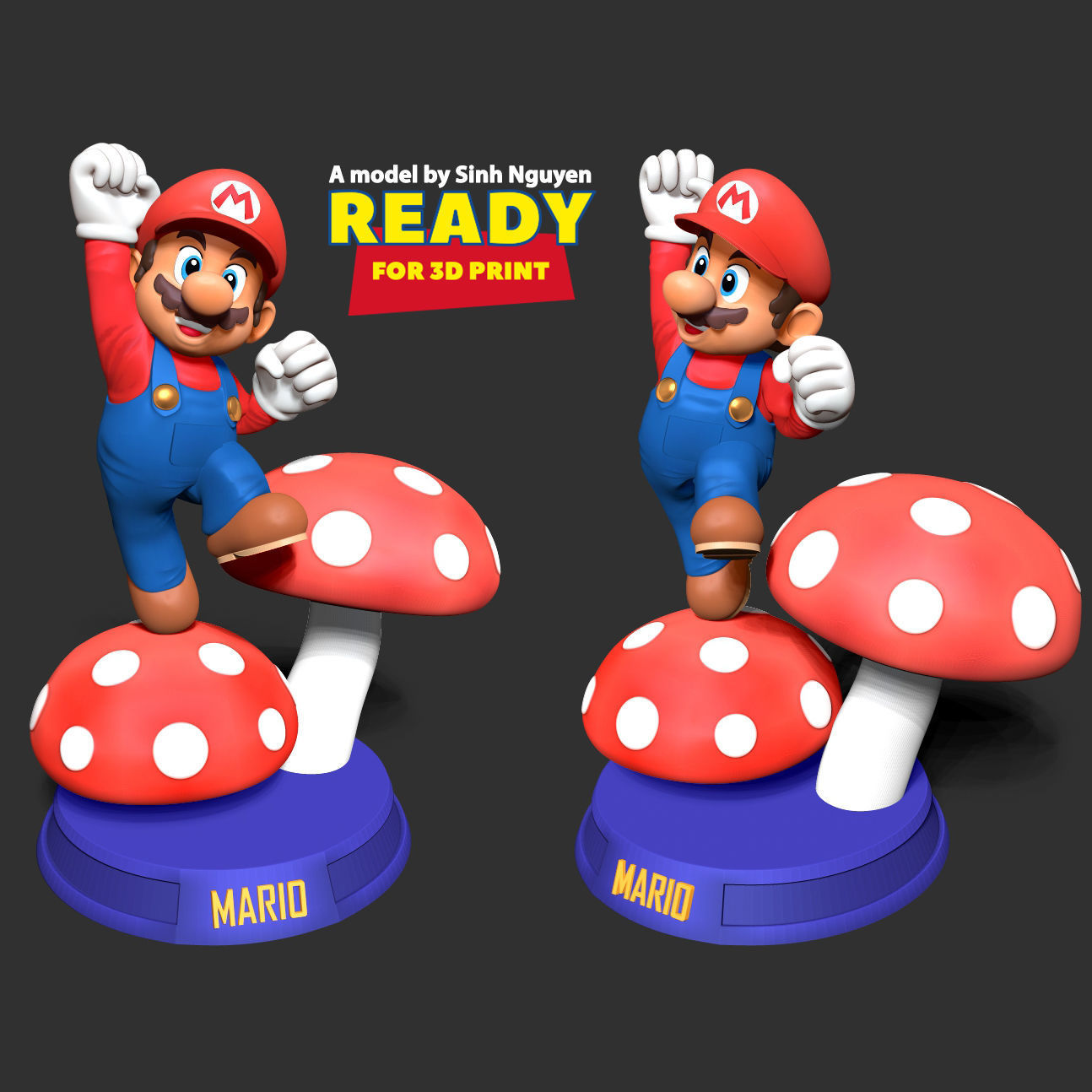 The Super Mario Bros 3D model 3D printable | CGTrader