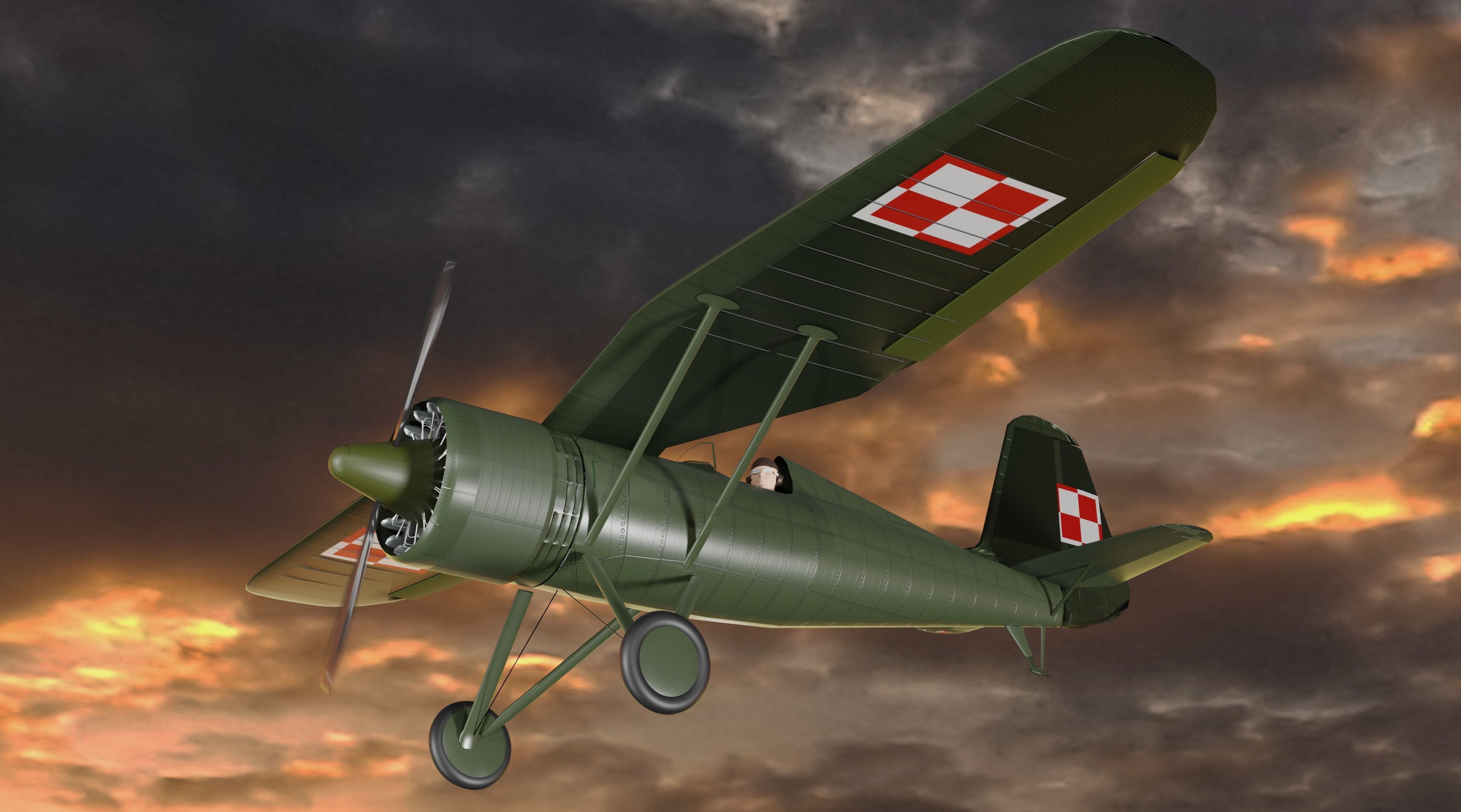 PZL 11 C Polish Gullwing Fighter 3D model | CGTrader