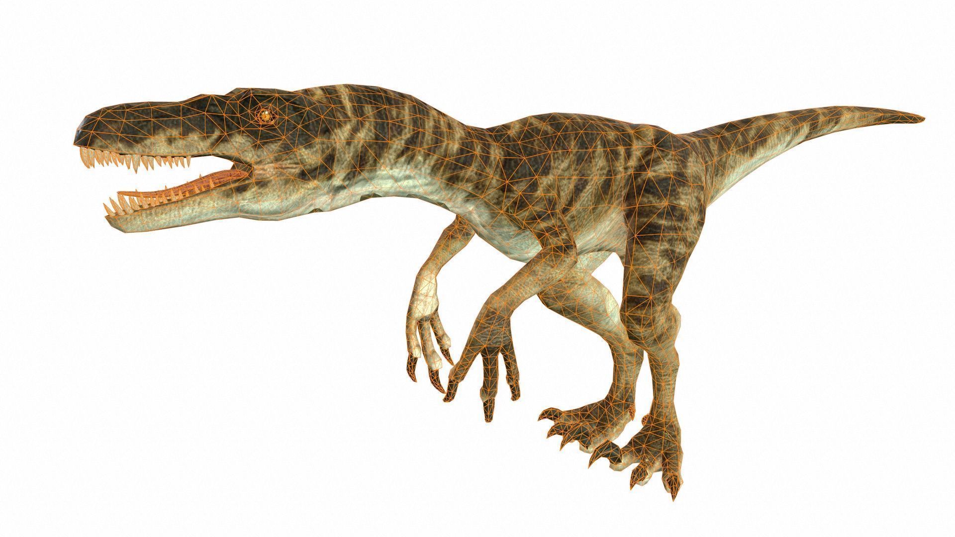 3D model Raptor VR / AR / low-poly | CGTrader