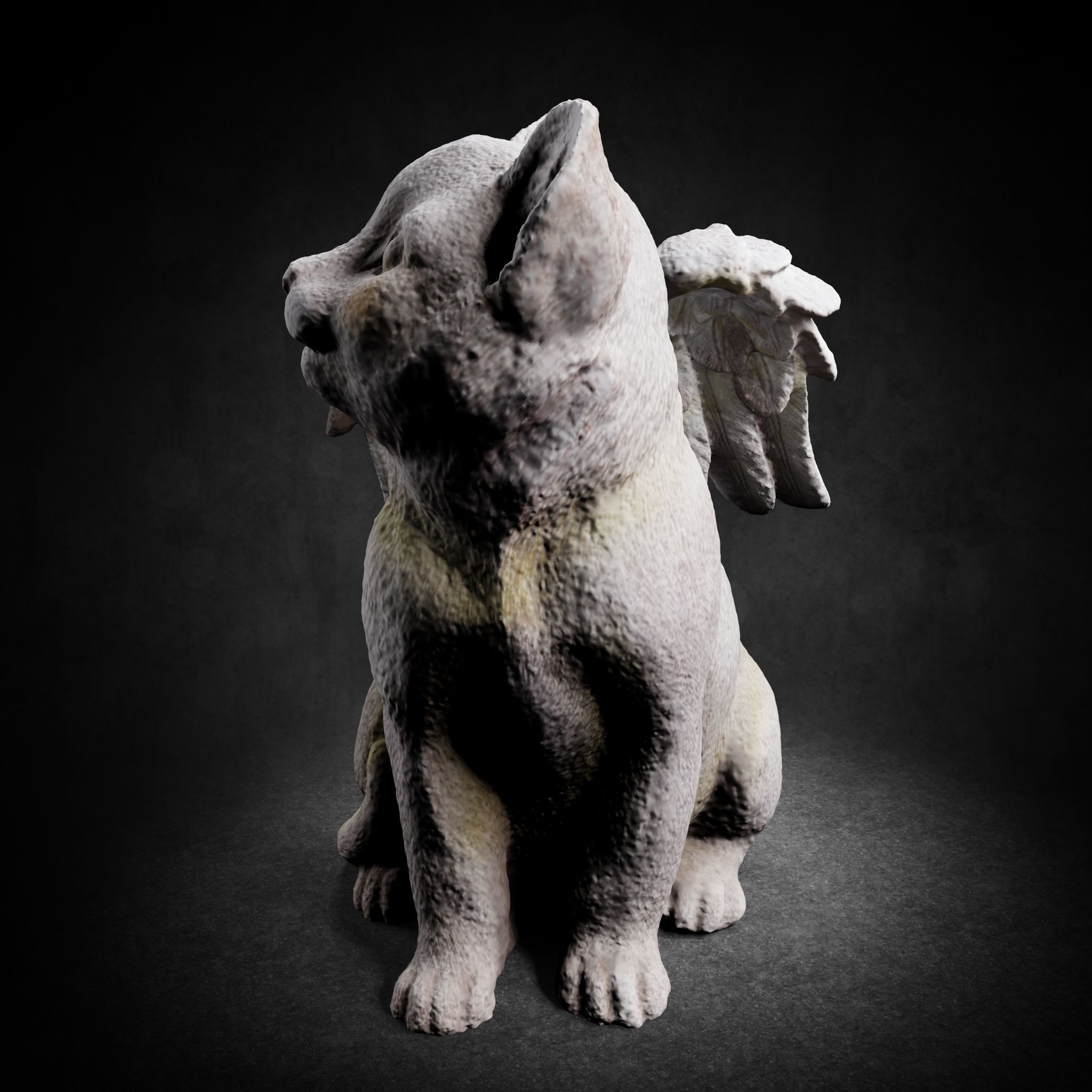 3D model Cat Angel Photorealistic PBR VR / AR / low-poly | CGTrader