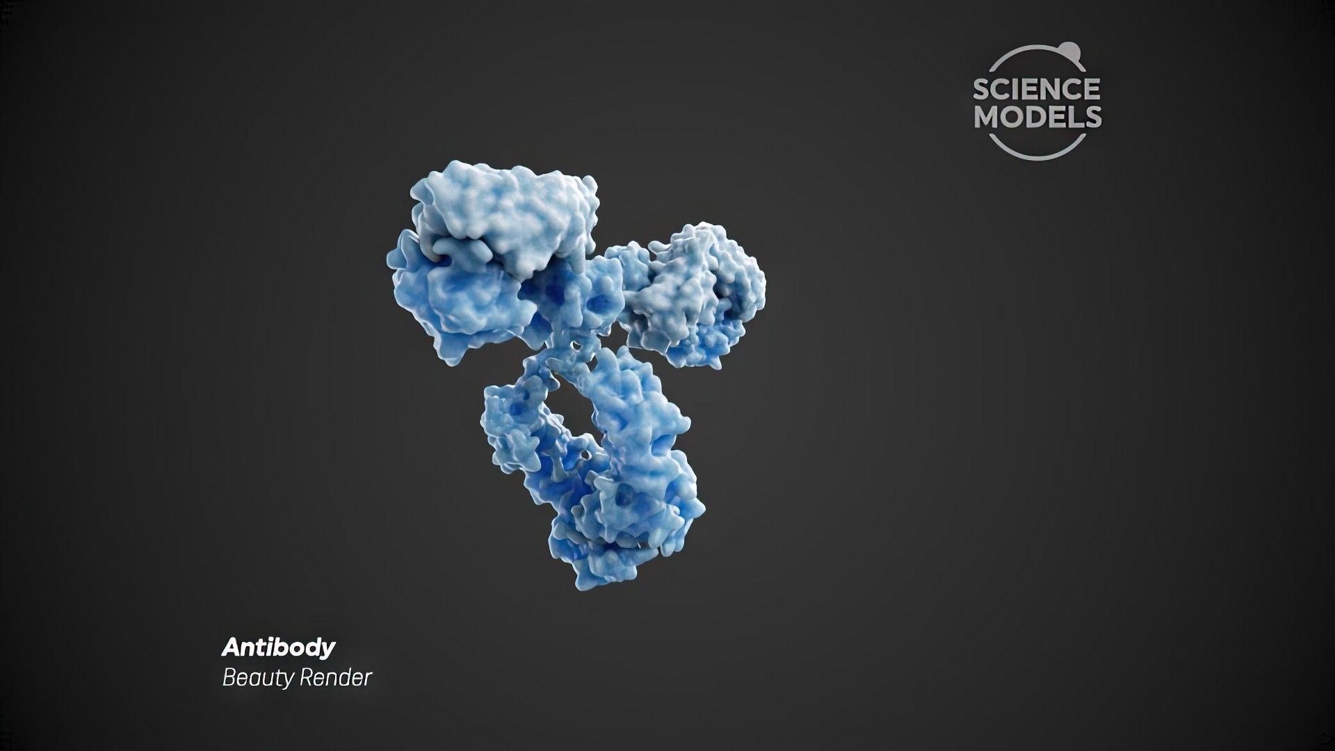 Antibody 1igt 3D model | CGTrader