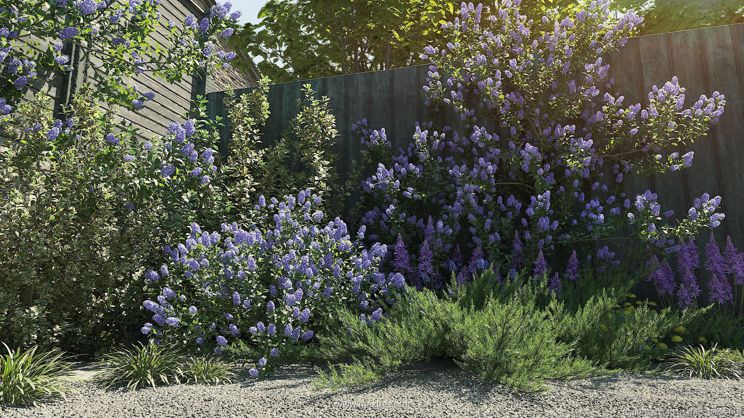 Maxtree Plant Models Vol 84 - Mesh 3D model | CGTrader