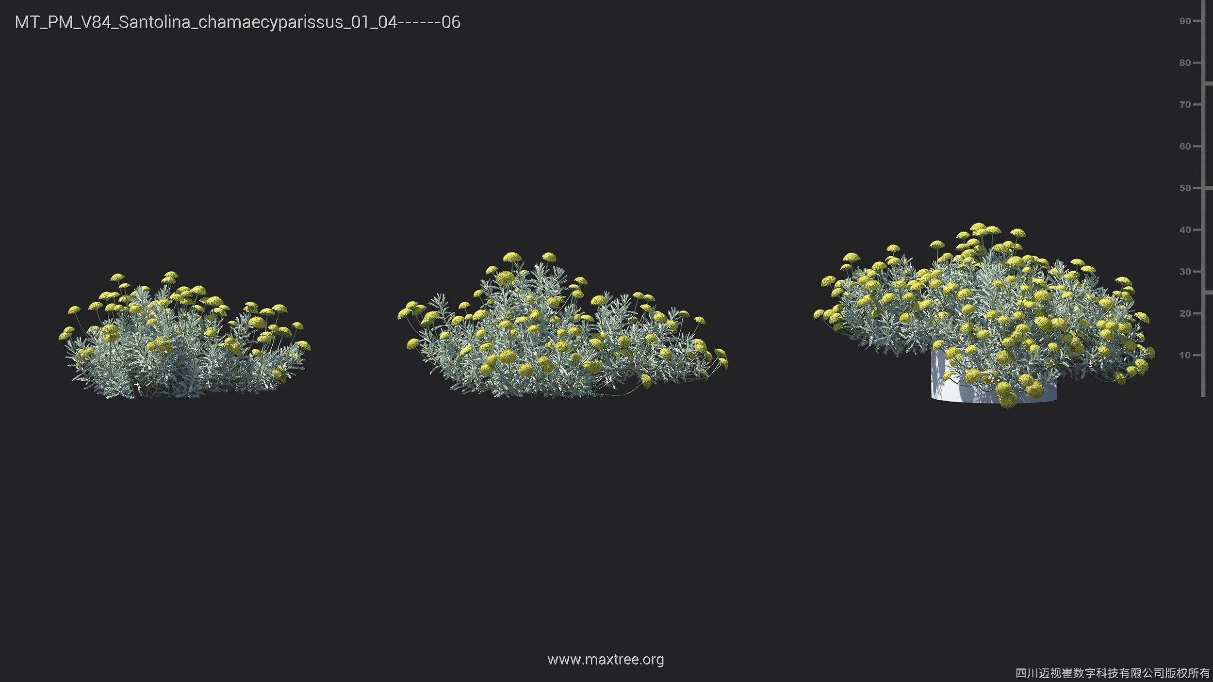 Maxtree Plant Models Vol 84 - Mesh 3D model | CGTrader